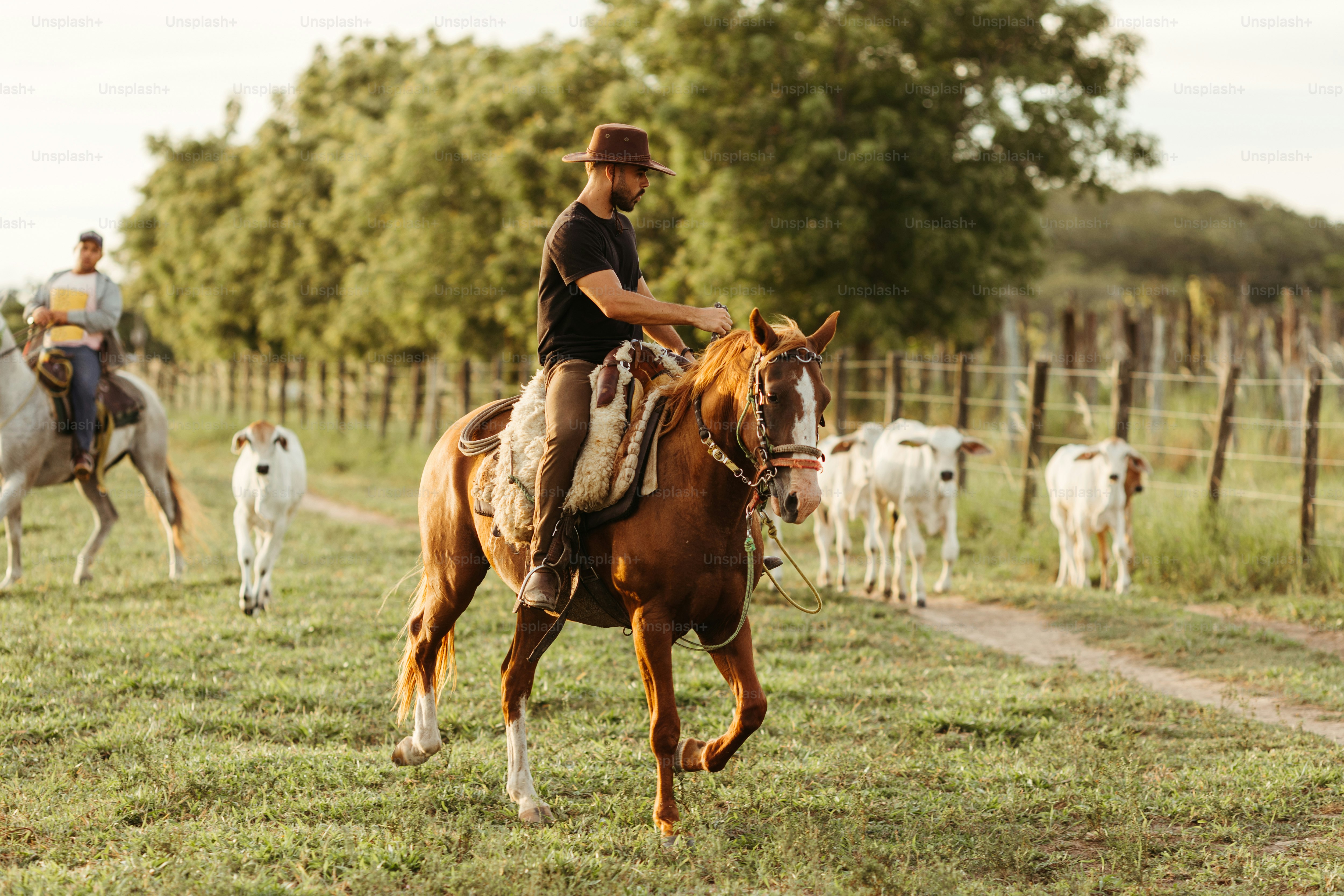 A man riding on the back of a brown horse photo – Cowboy Image on Unsplash