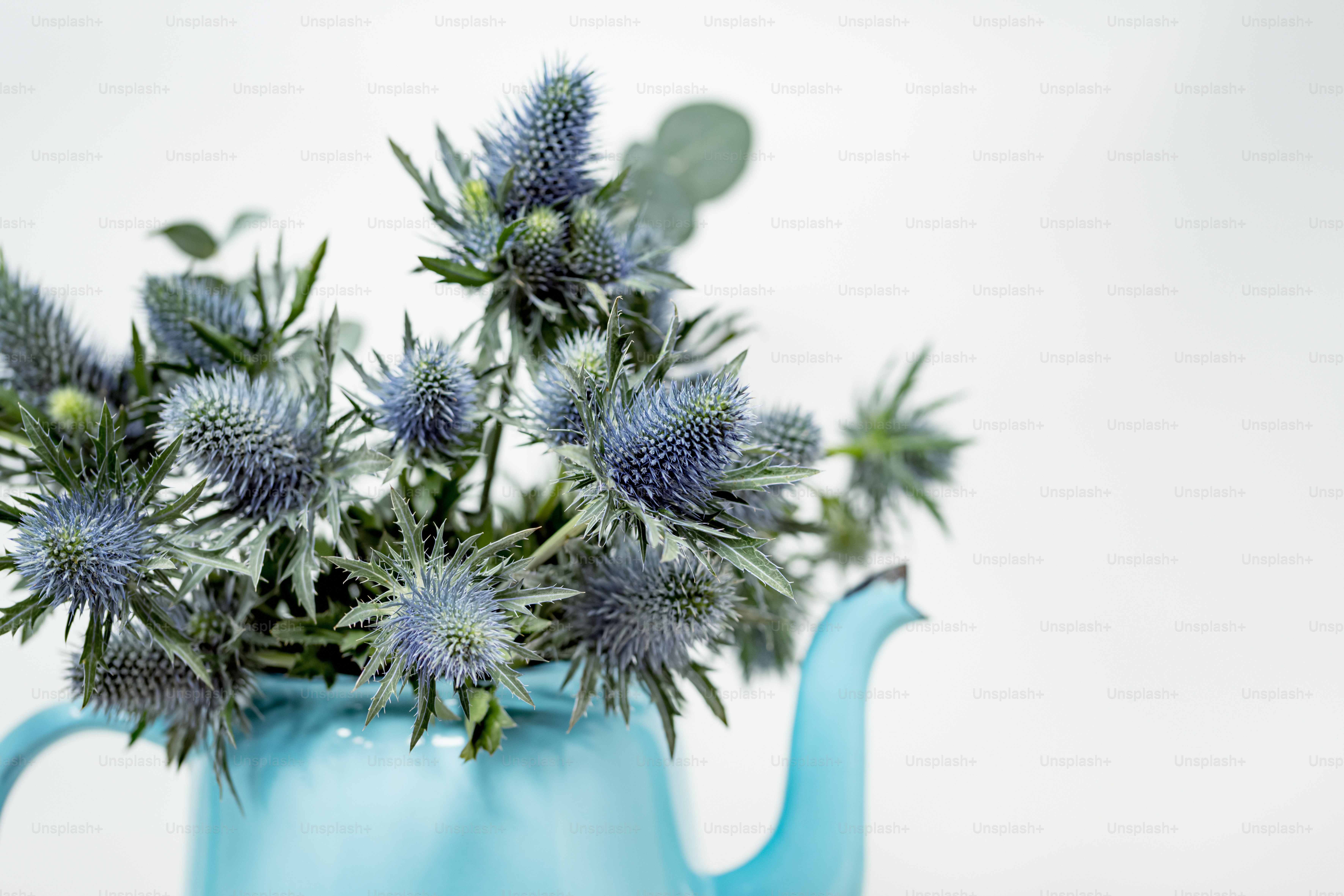A blue watering can filled with blue flowers photo – Floral Image on ...