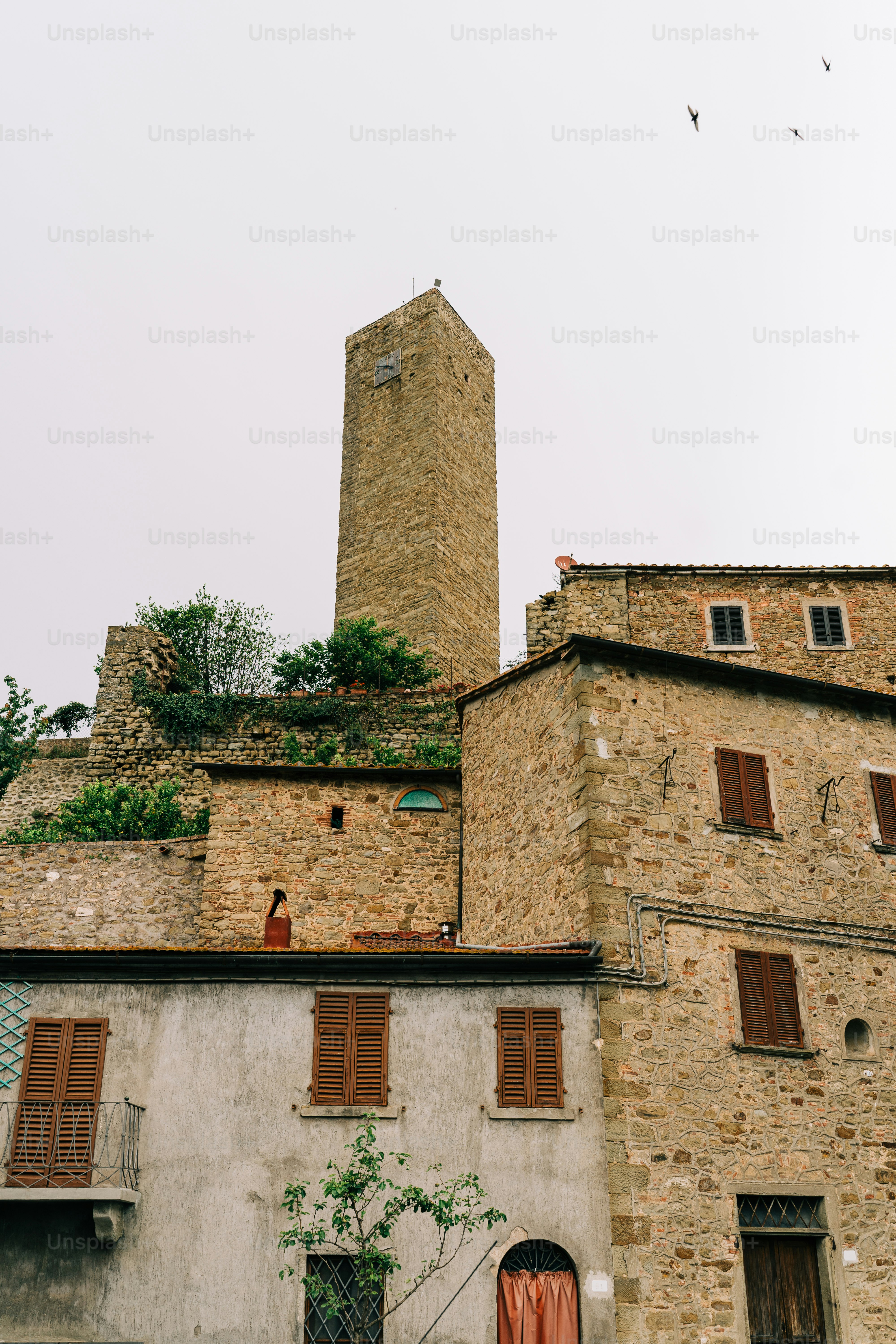 Imágenes de Pereta | Descarga imágenes gratuitas en Unsplash