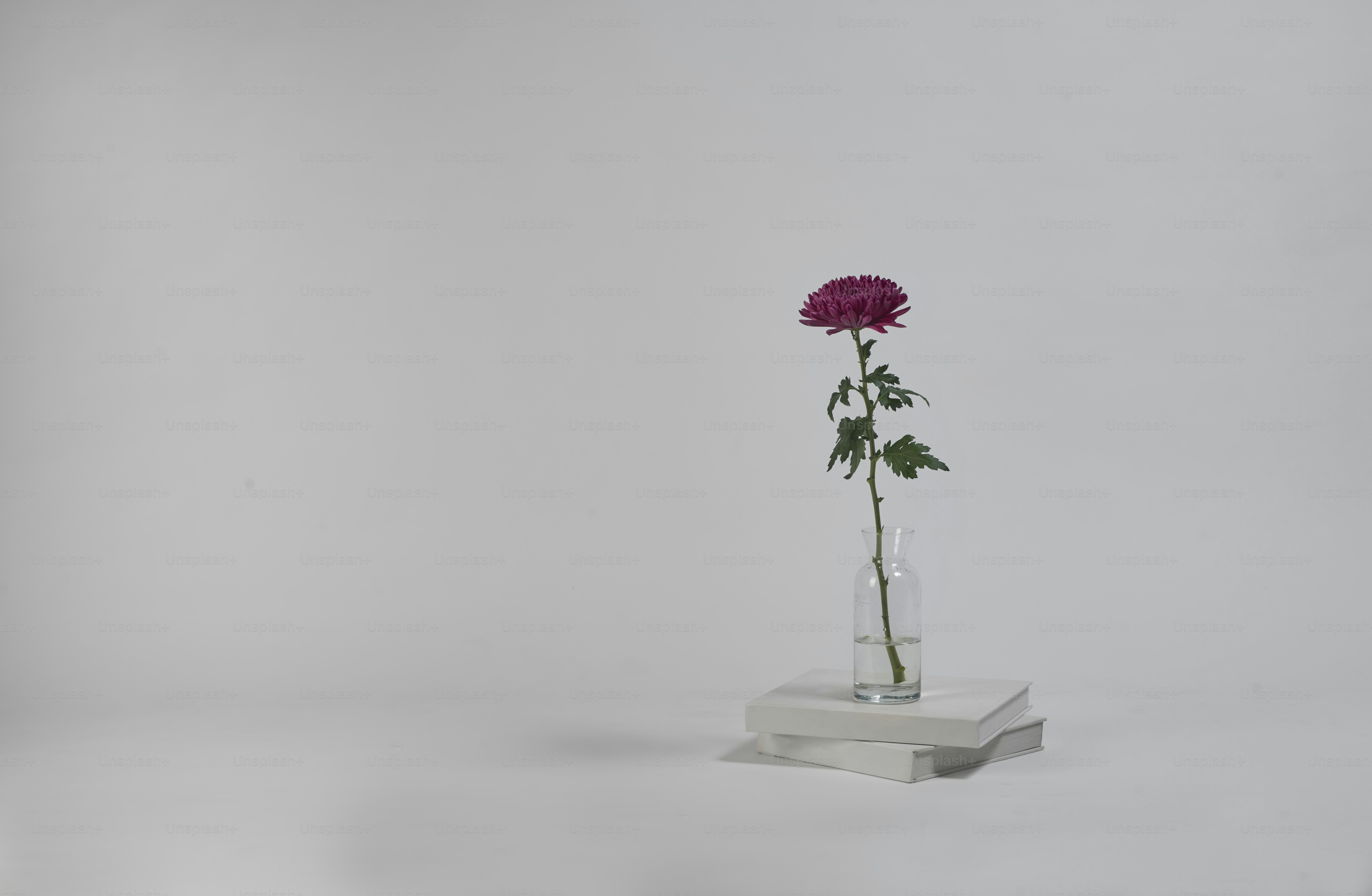Vase Une Seule Fleur