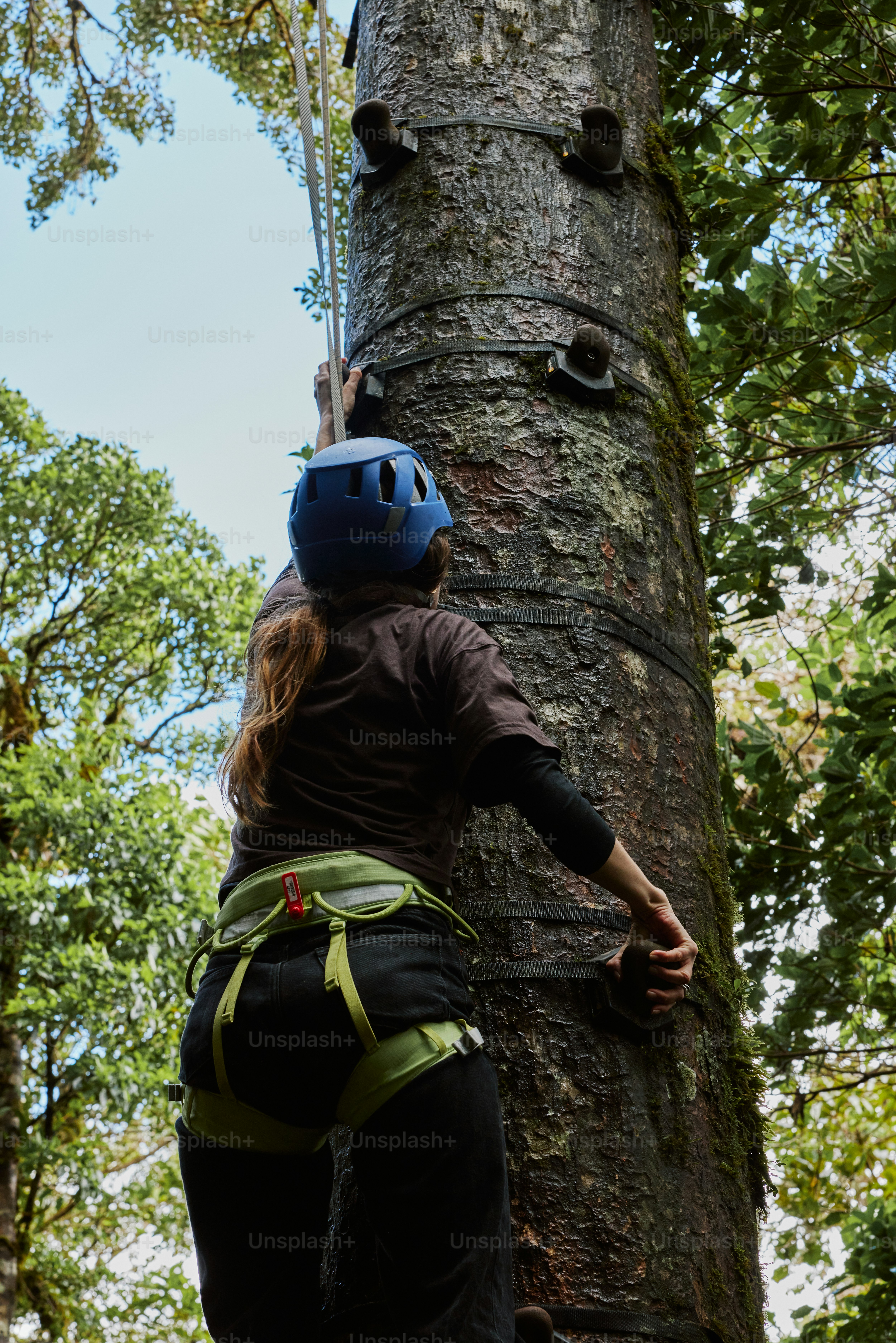 A woman climbing up the side of a tree photo – Climbing Image on Unsplash
