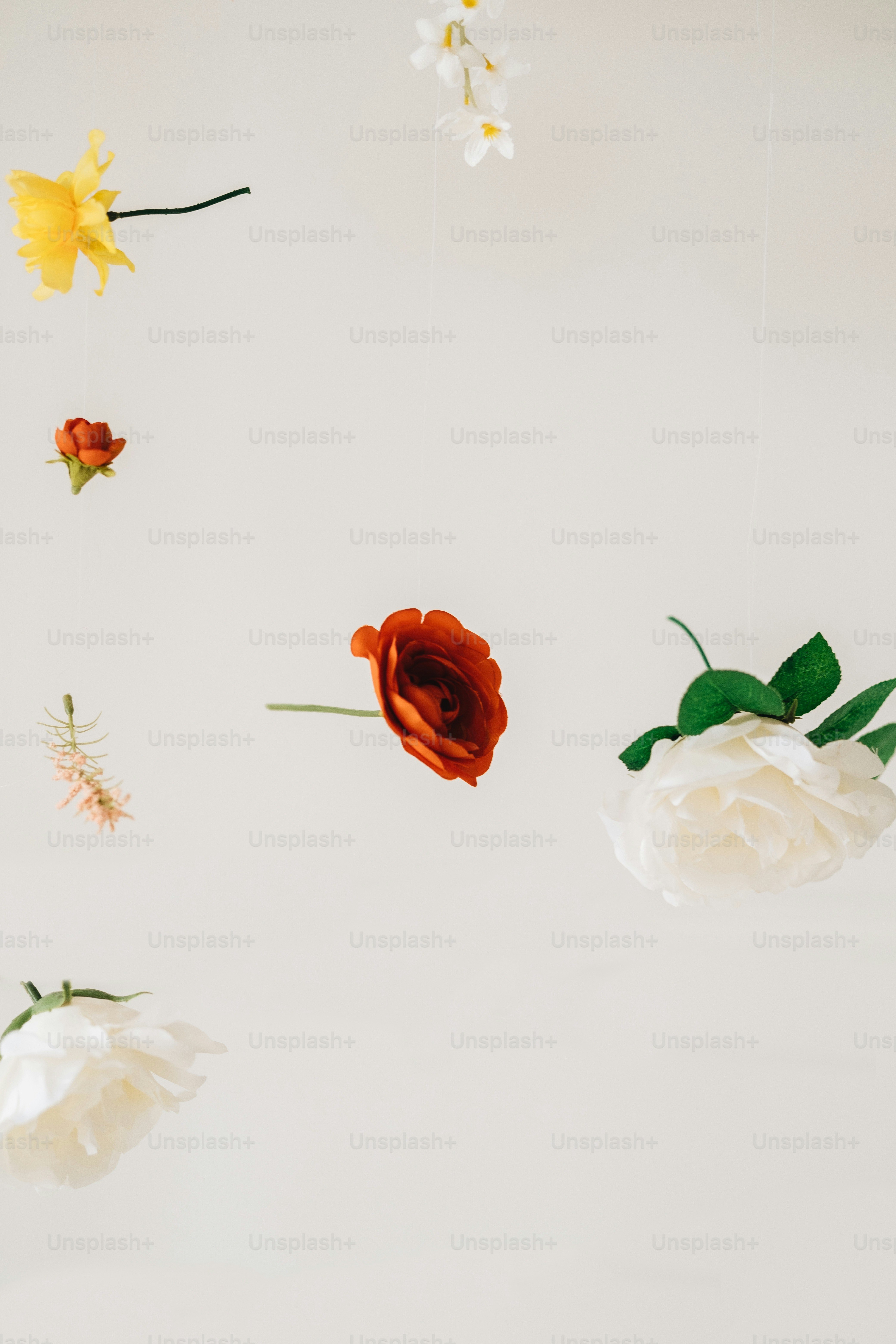 A bunch of flowers floating in the air photo – Flowers gift Image on ...