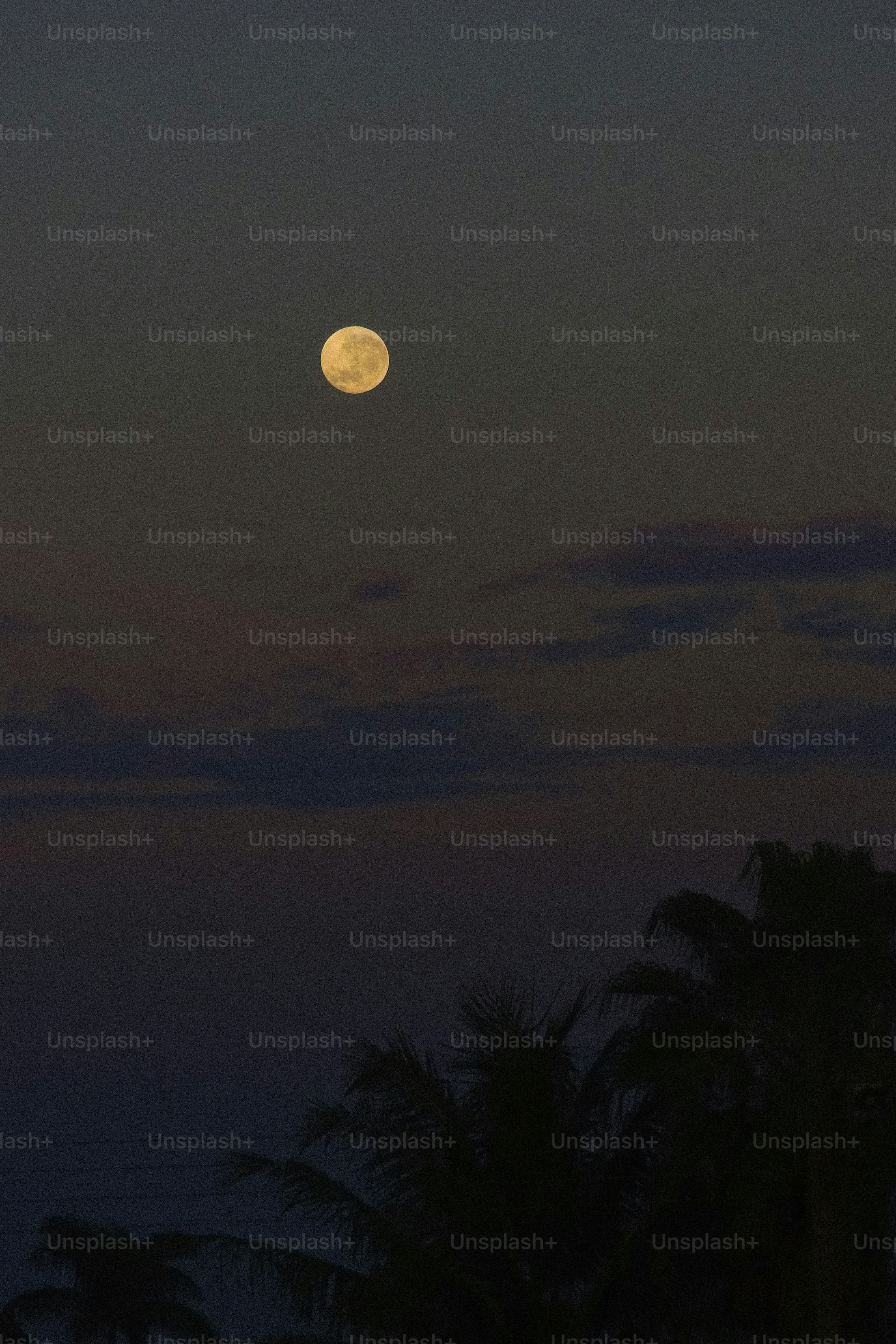 Moon Background Pictures | Download Free Images on Unsplash