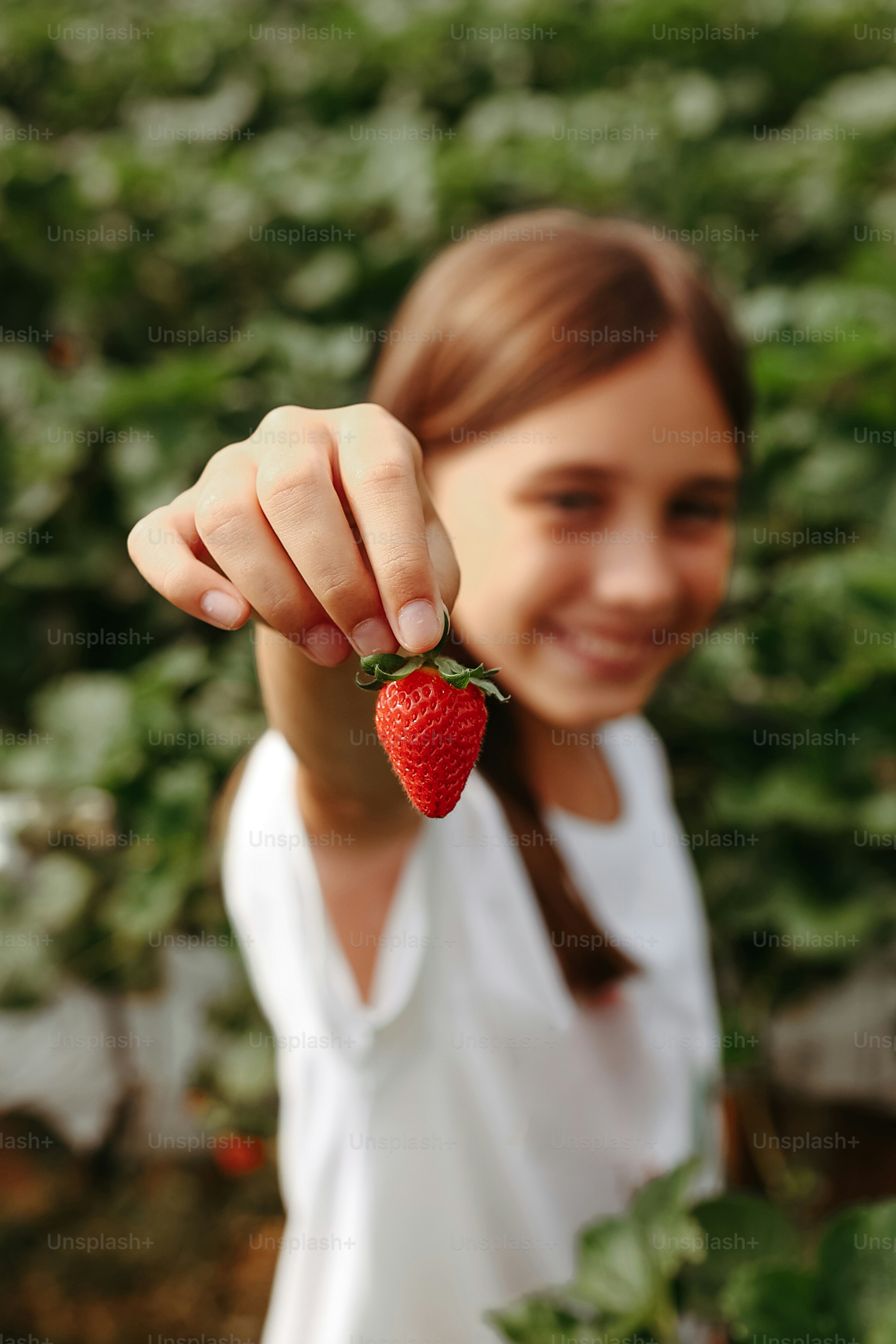A close up of a strawberry on a plant photo – Ripe Image on Unsplash