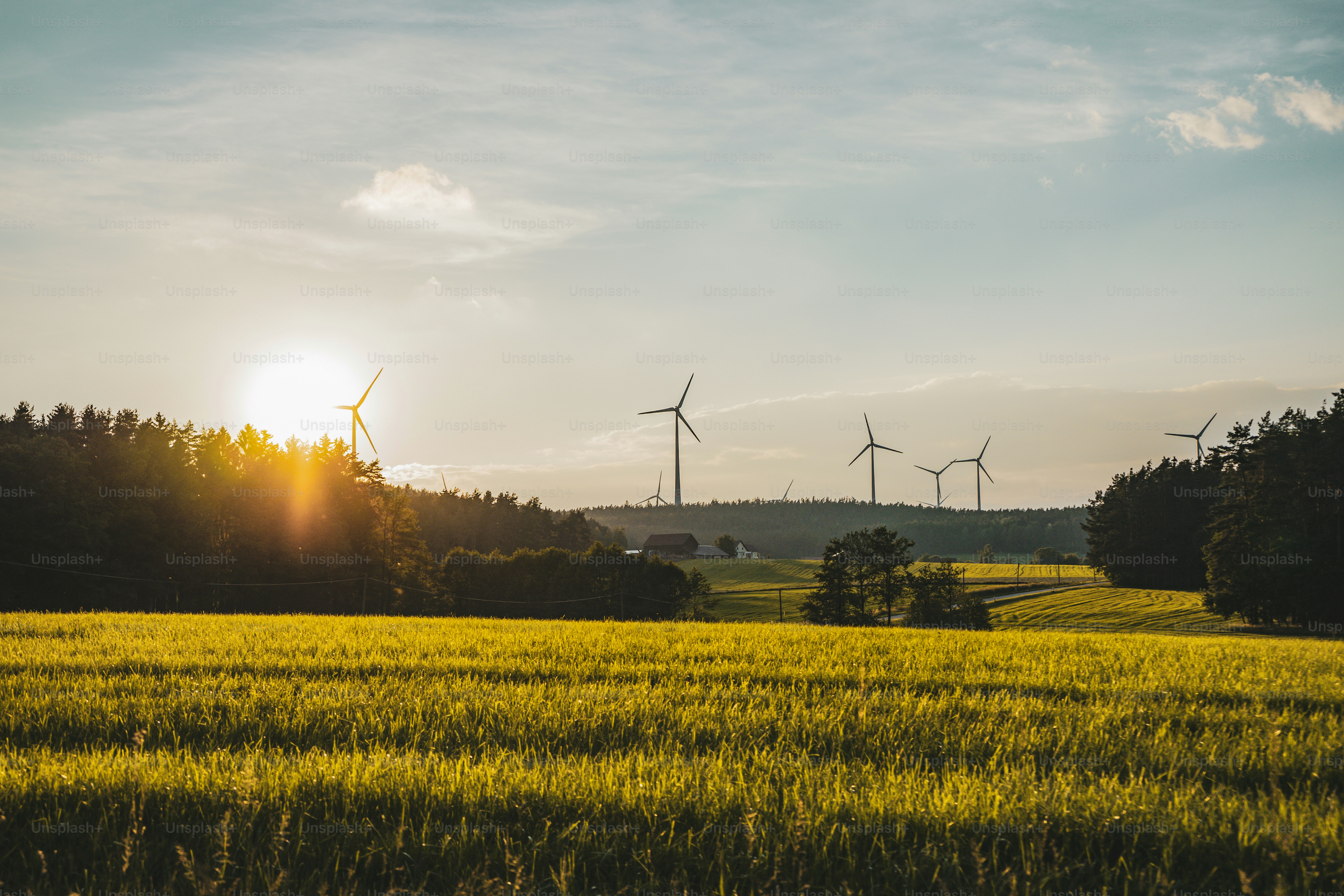 A field of green grass with wind turbines in the background photo ...
