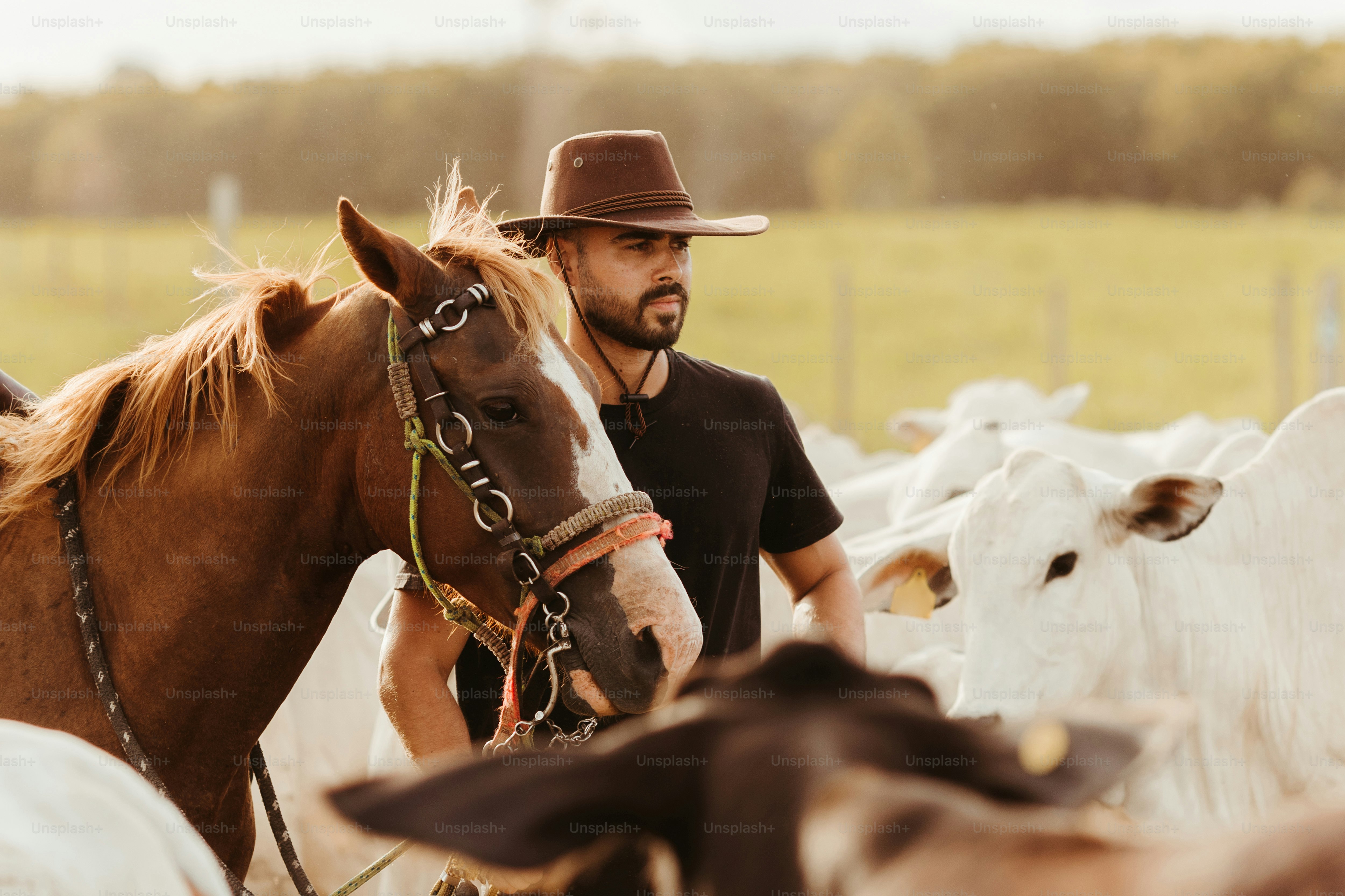 A man in a cowboy hat standing next to a horse photo – Horse Image on ...