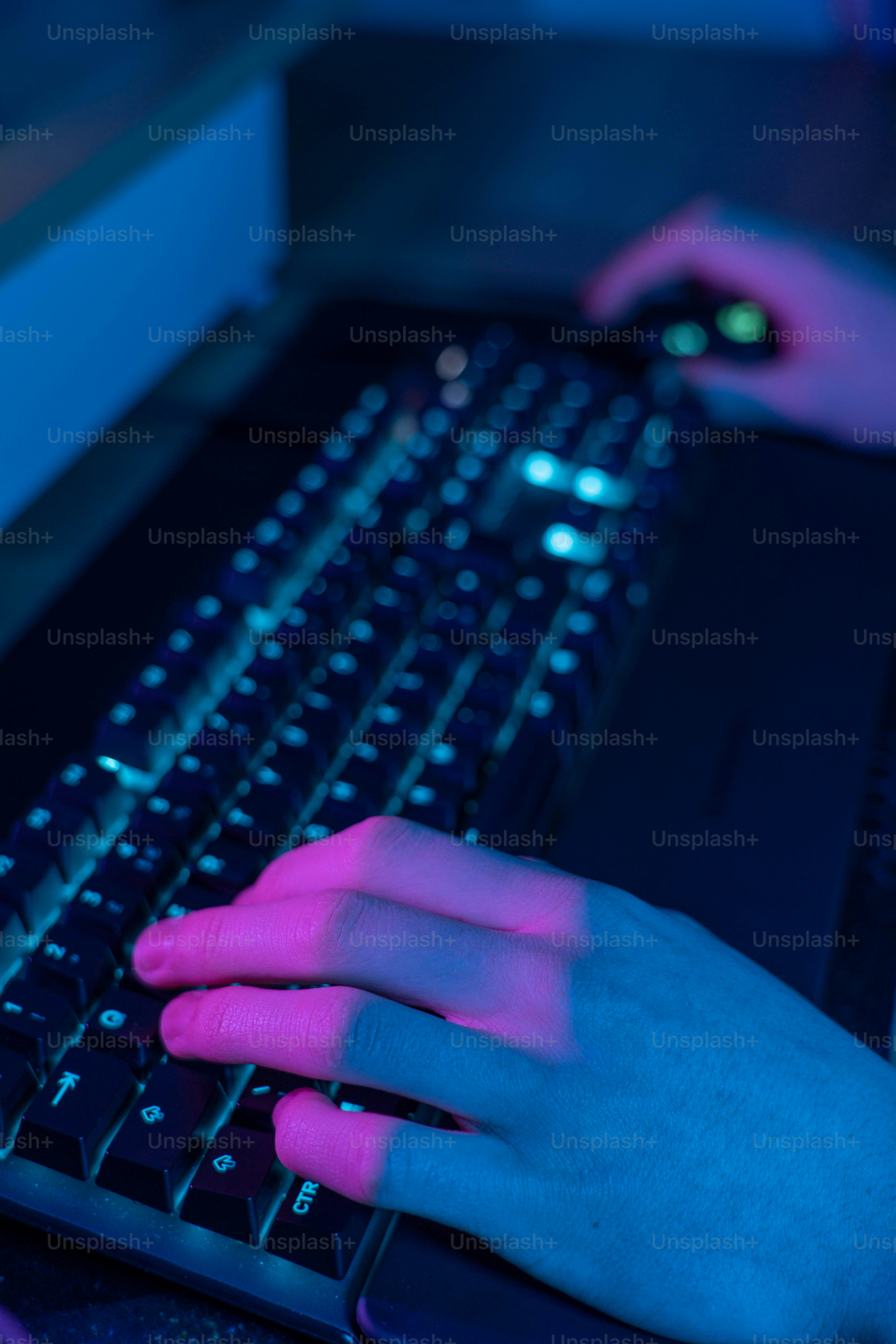 30,000+ Kali Linux Pictures | Download Free Images on Unsplash