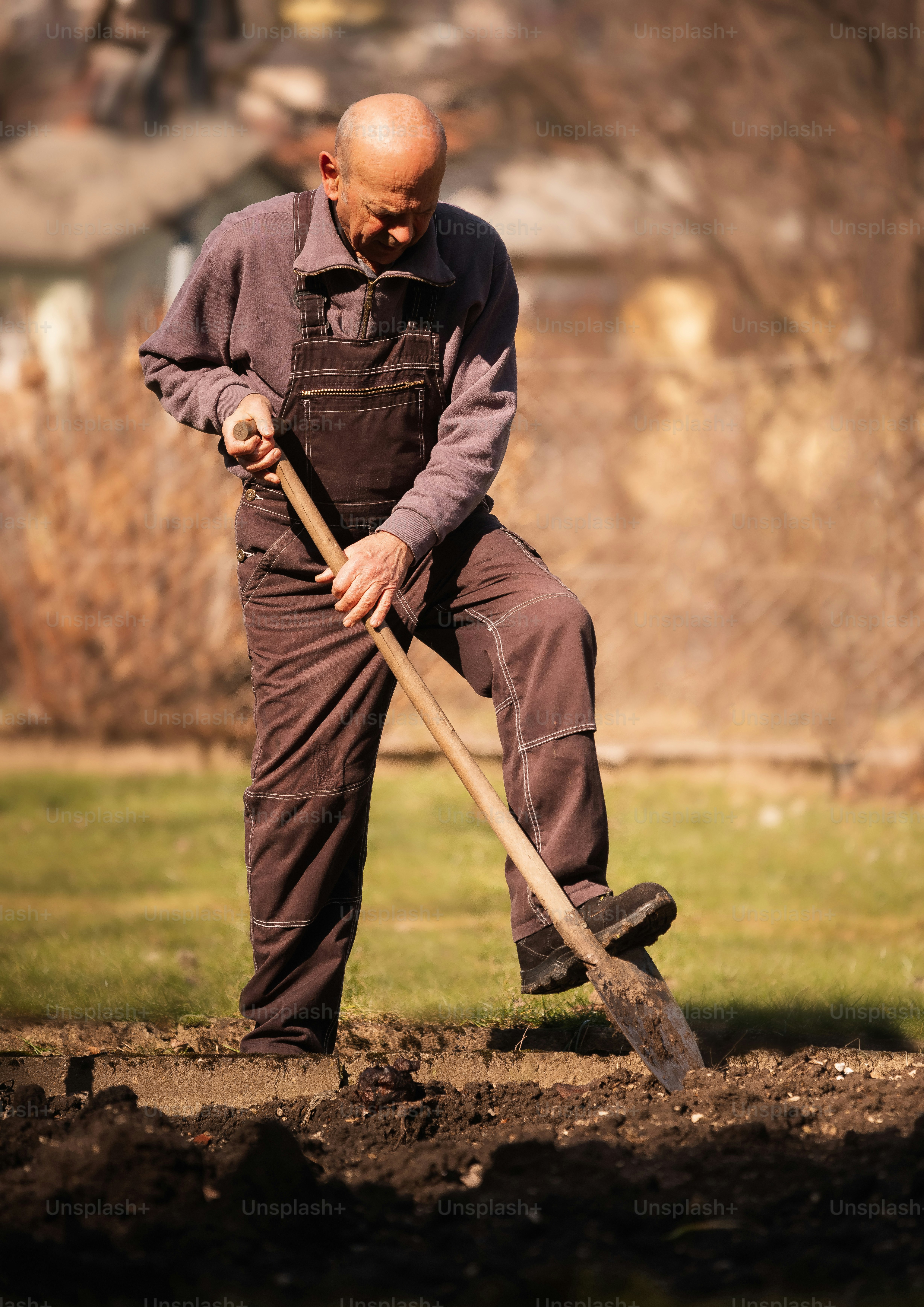 Dig Pictures | Download Free Images on Unsplash