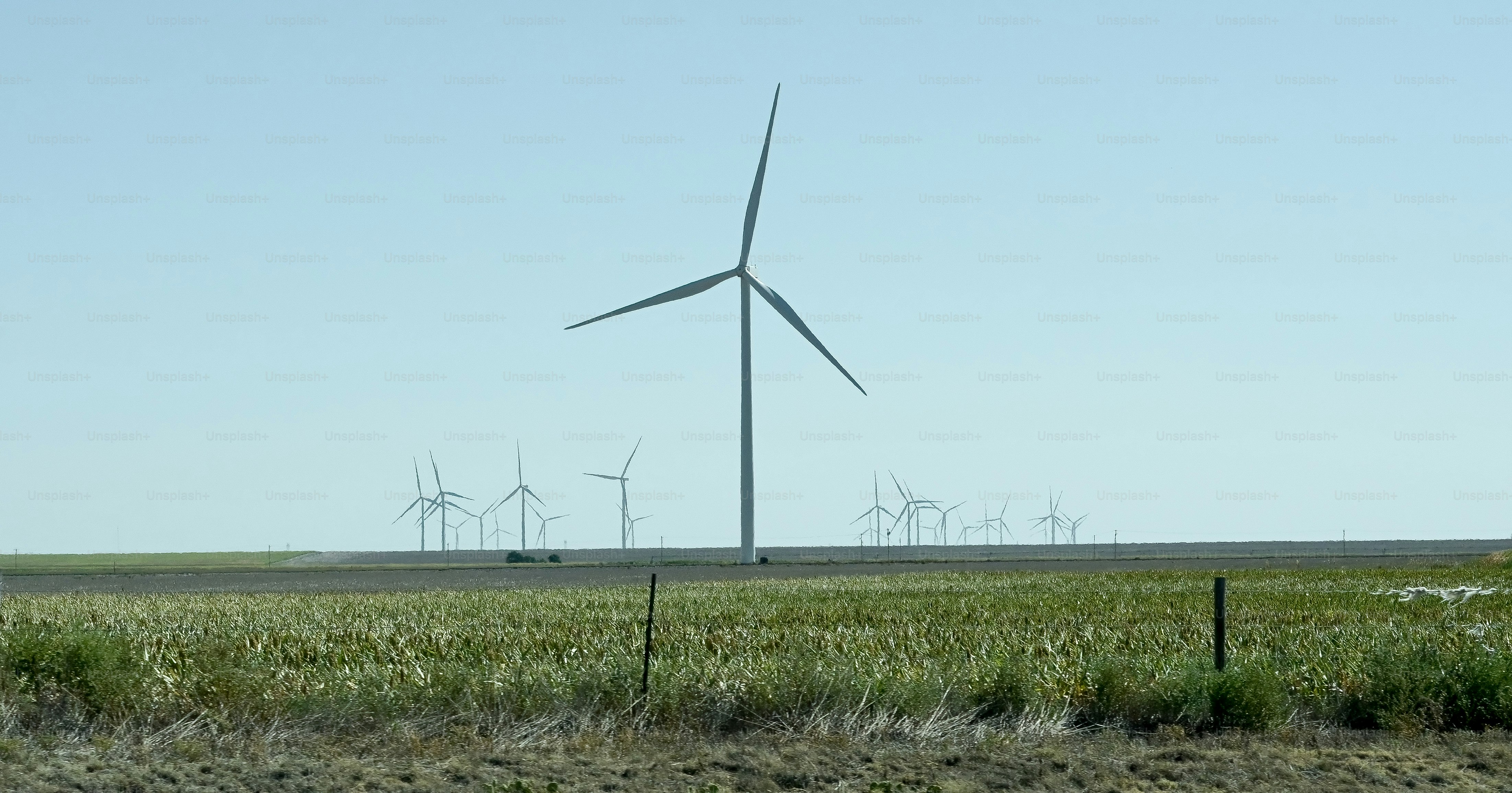 A field of grass with a bunch of windmills in the background photo ...