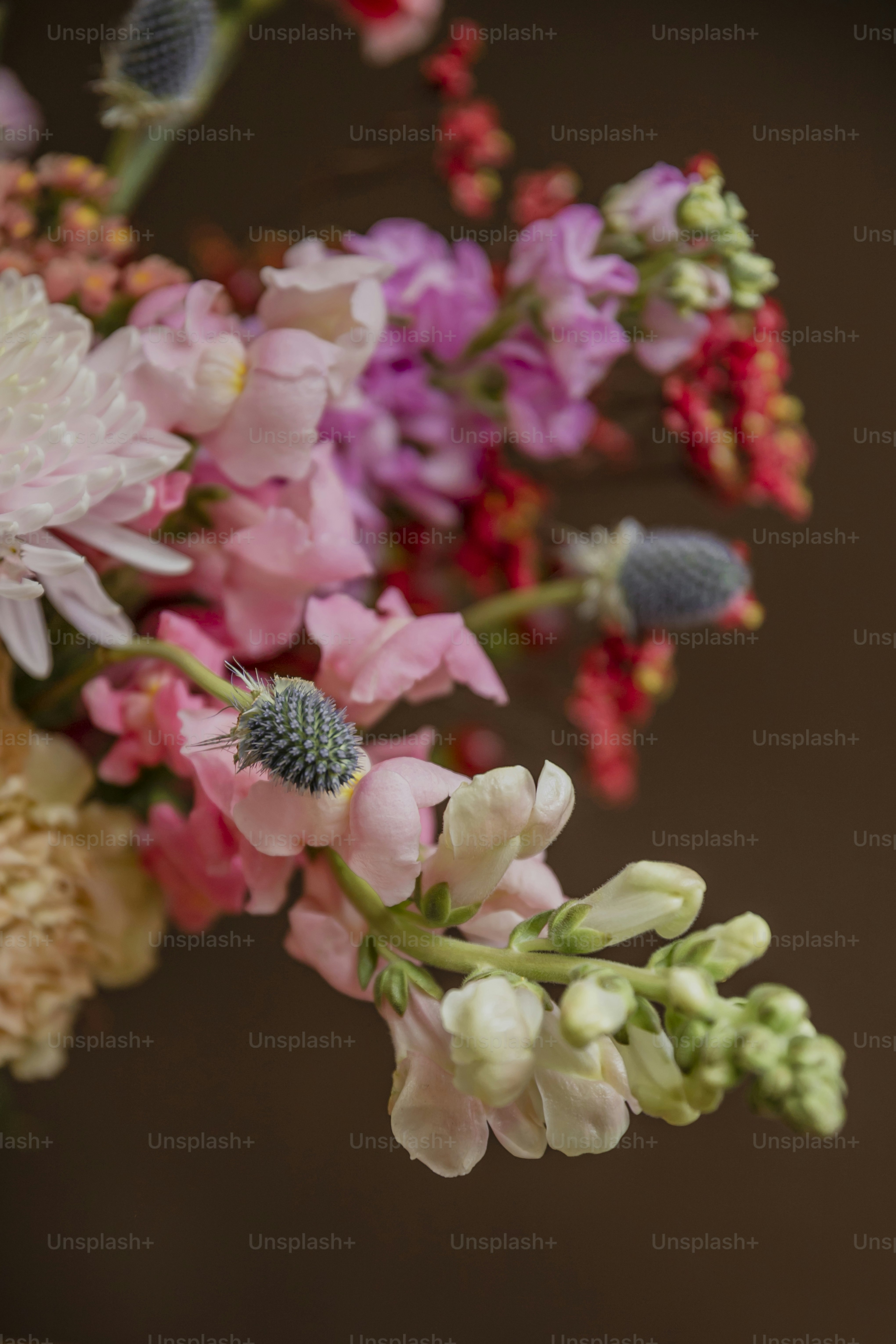 A vase filled with lots of different colored flowers photo ...