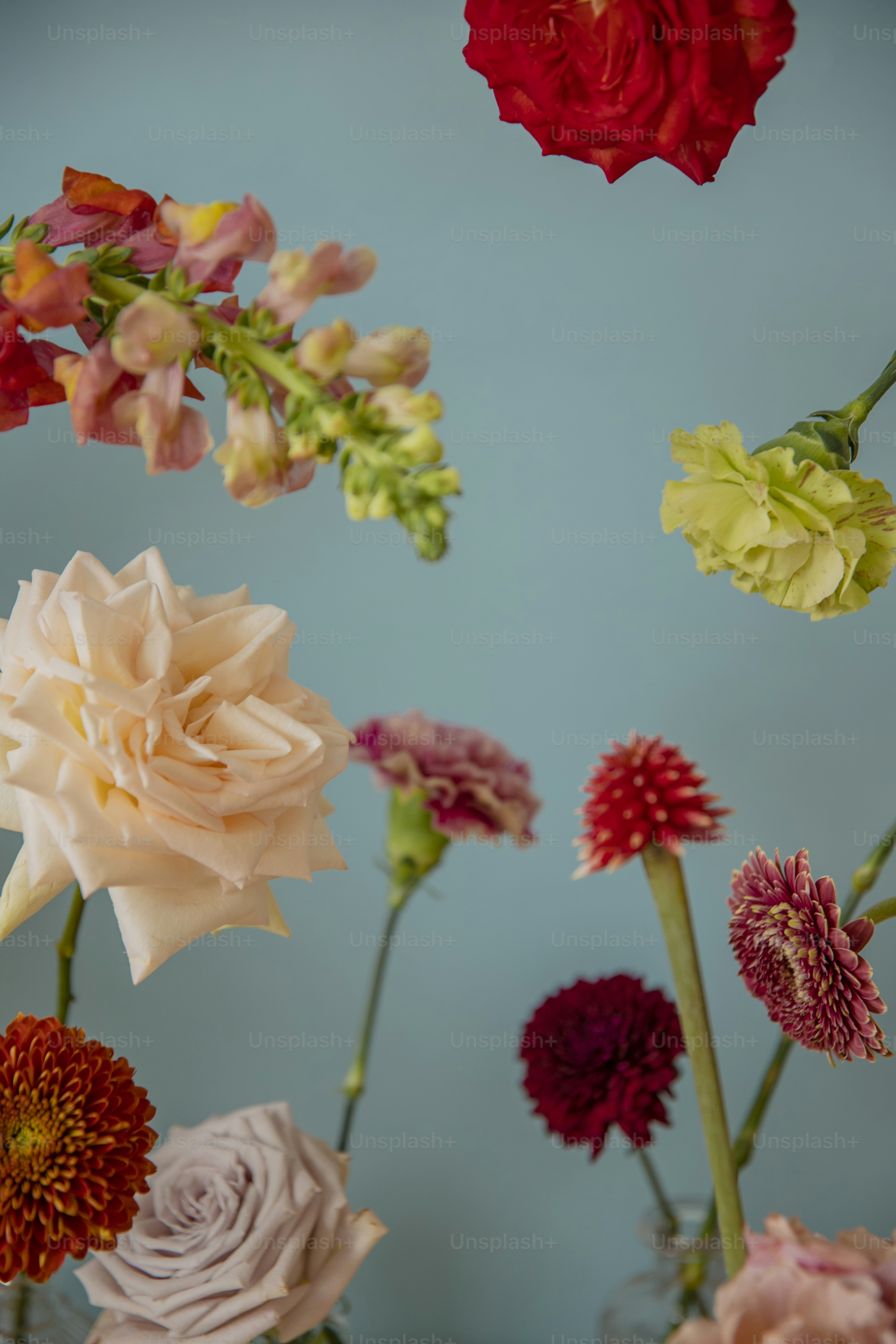 550+ Vintage Flowers Pictures | Download Free Images on Unsplash