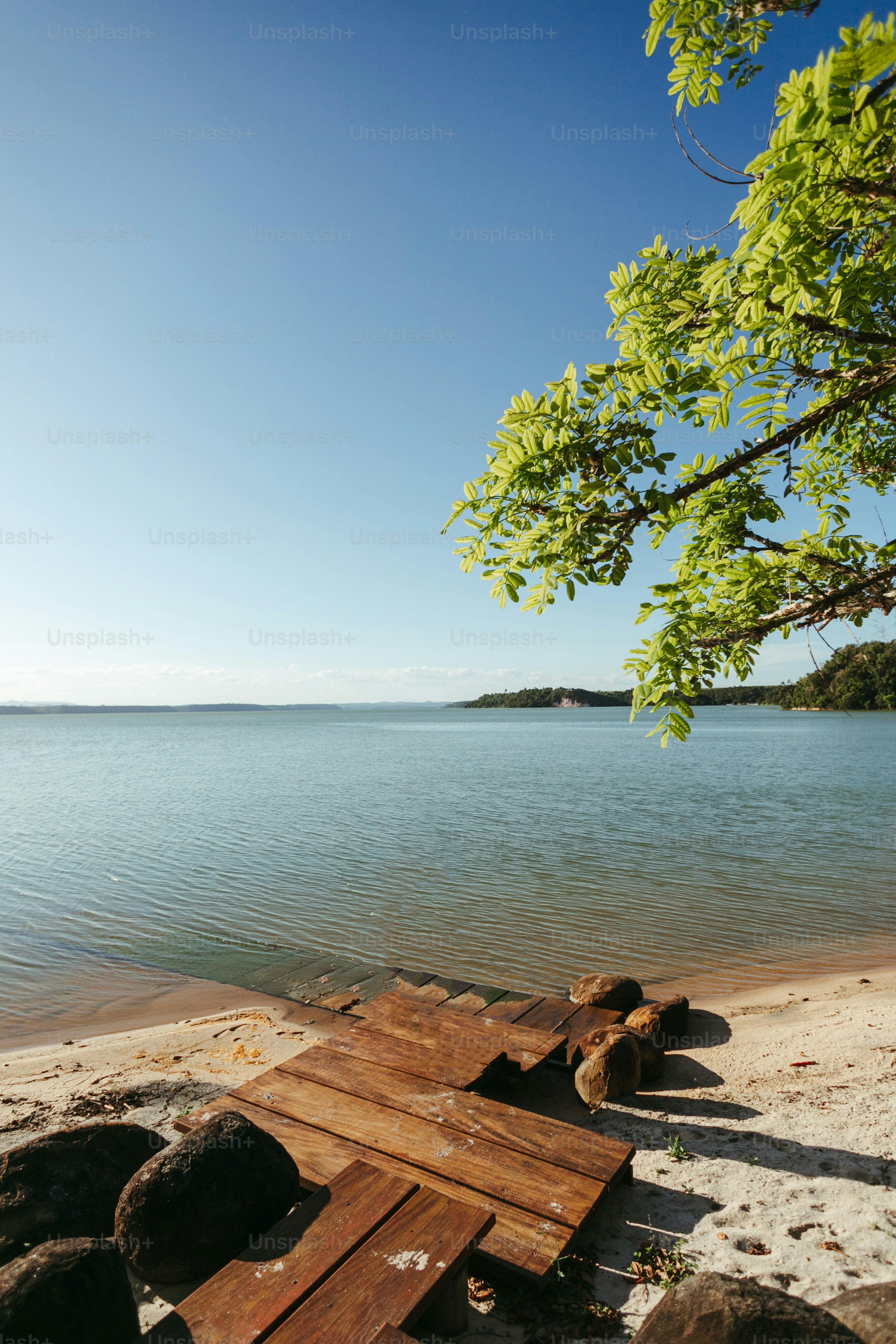 A sandy beach with palm trees and water photo – Fiji Image on Unsplash