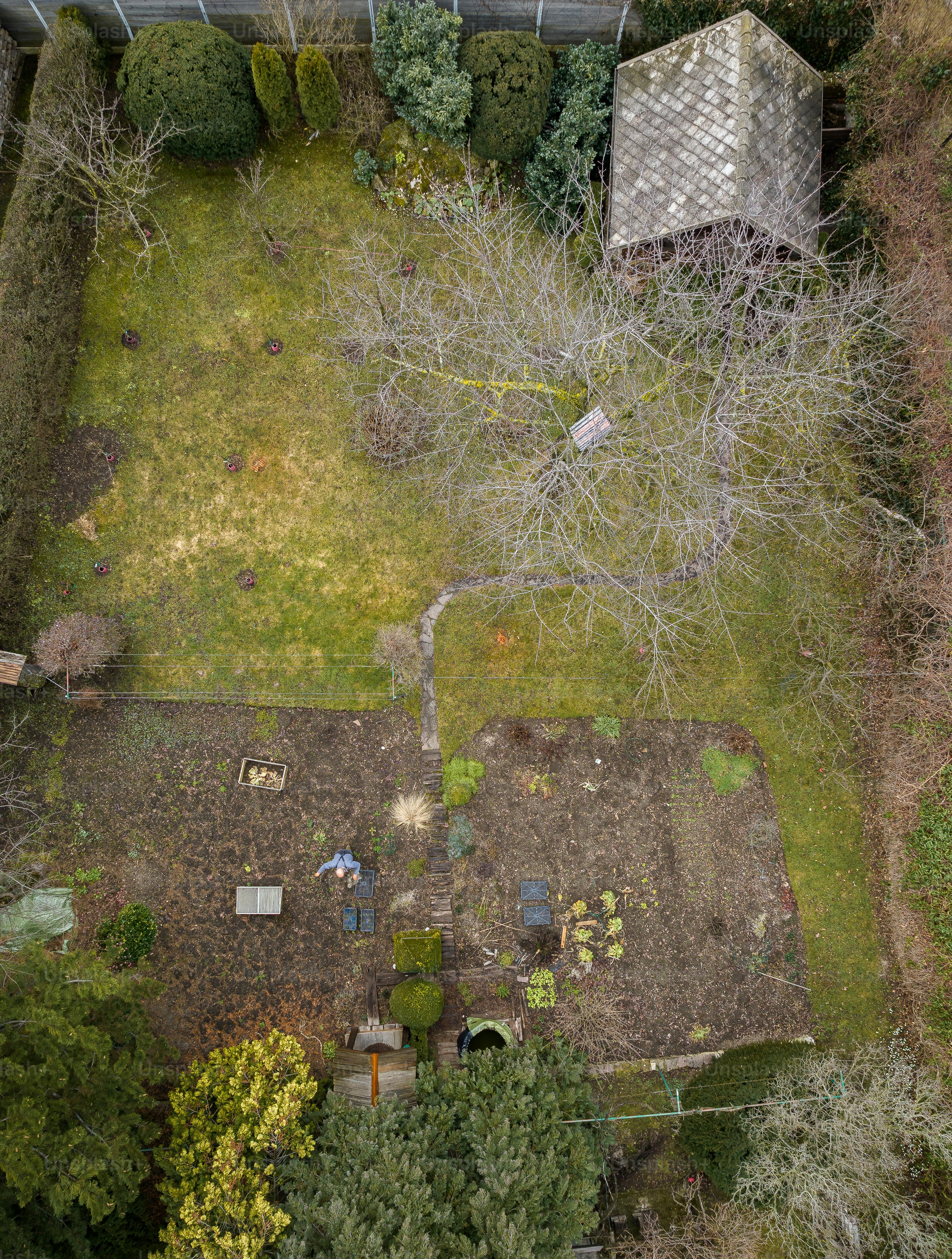 An aerial view of a yard with a shed and trees photo – Yard Image on ...