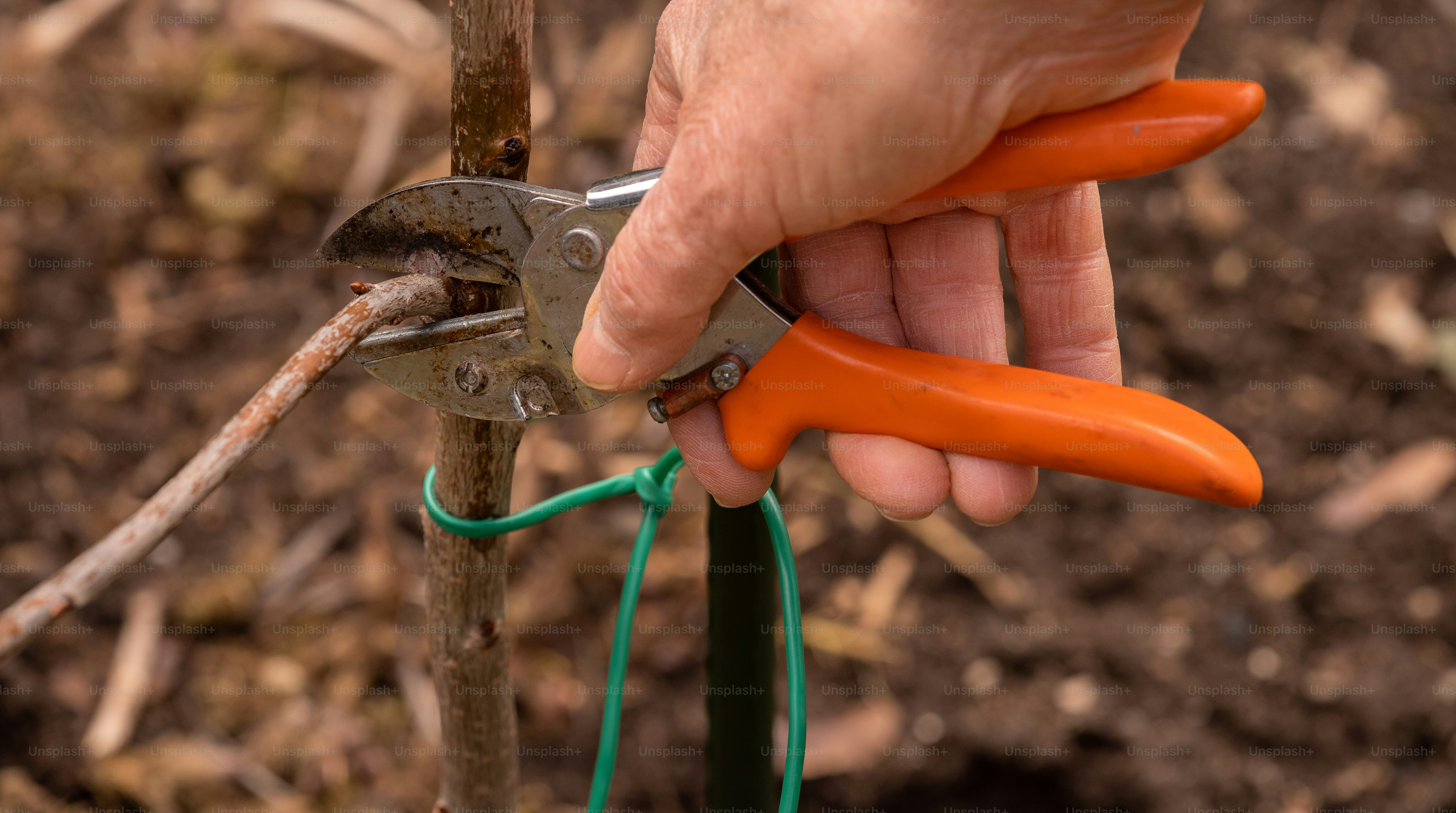 Foto zum Thema Eine Person, die eine Schere in der Hand hält – Bild zu ...