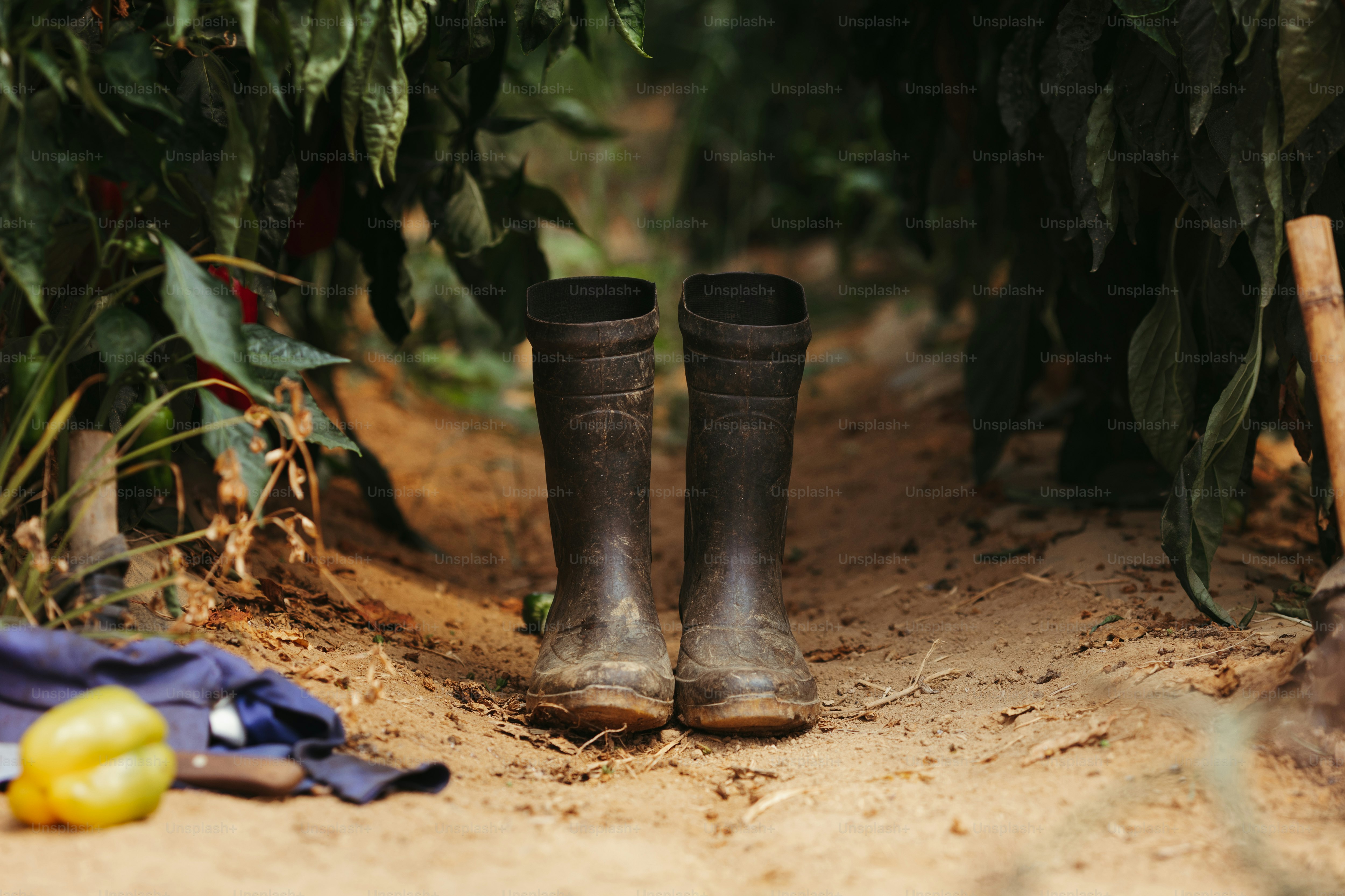 Foto Un par de botas sentadas encima de un camino de tierra – Botas ...