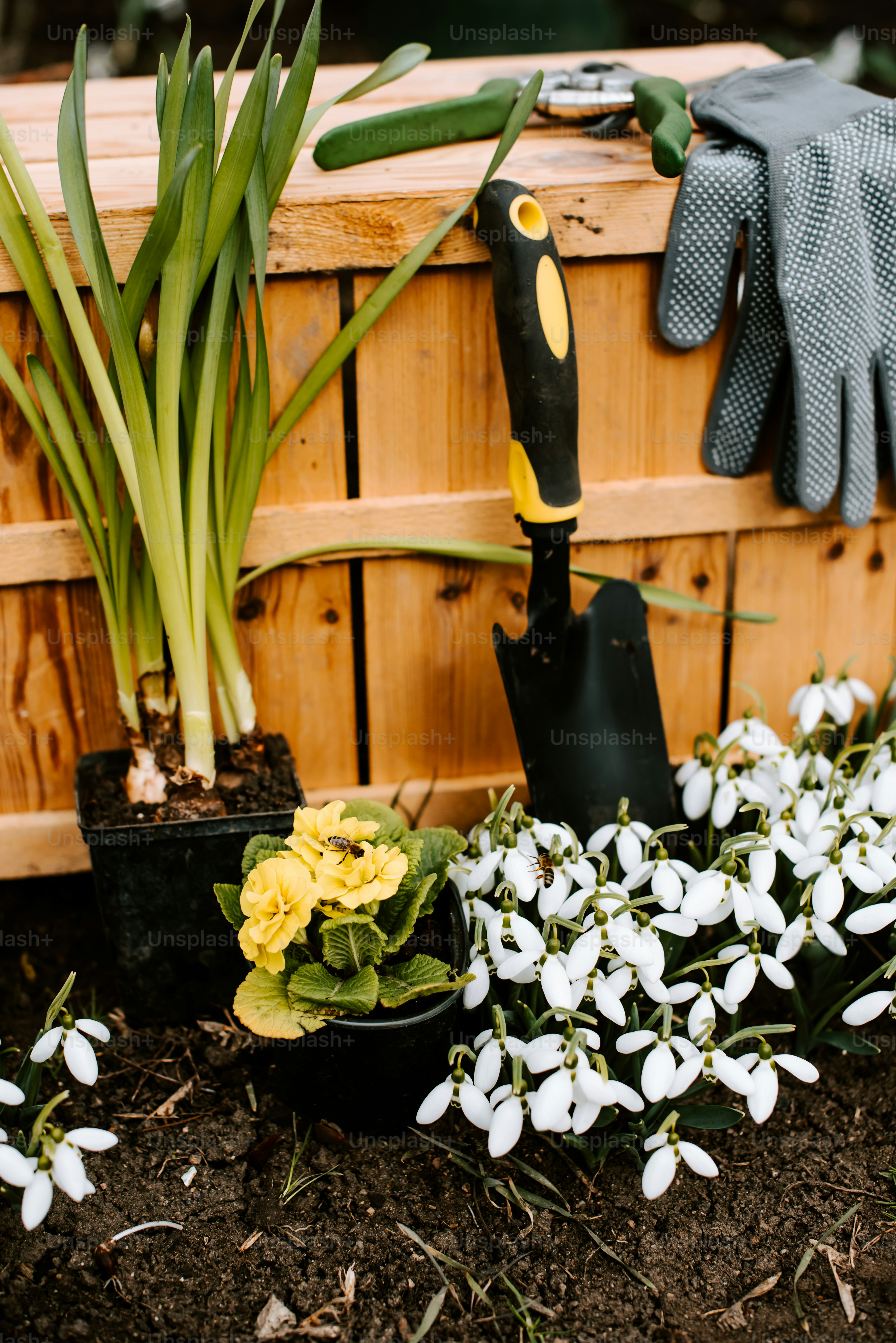 Un giardino con fiori e attrezzi da giardinaggio a terra foto ...