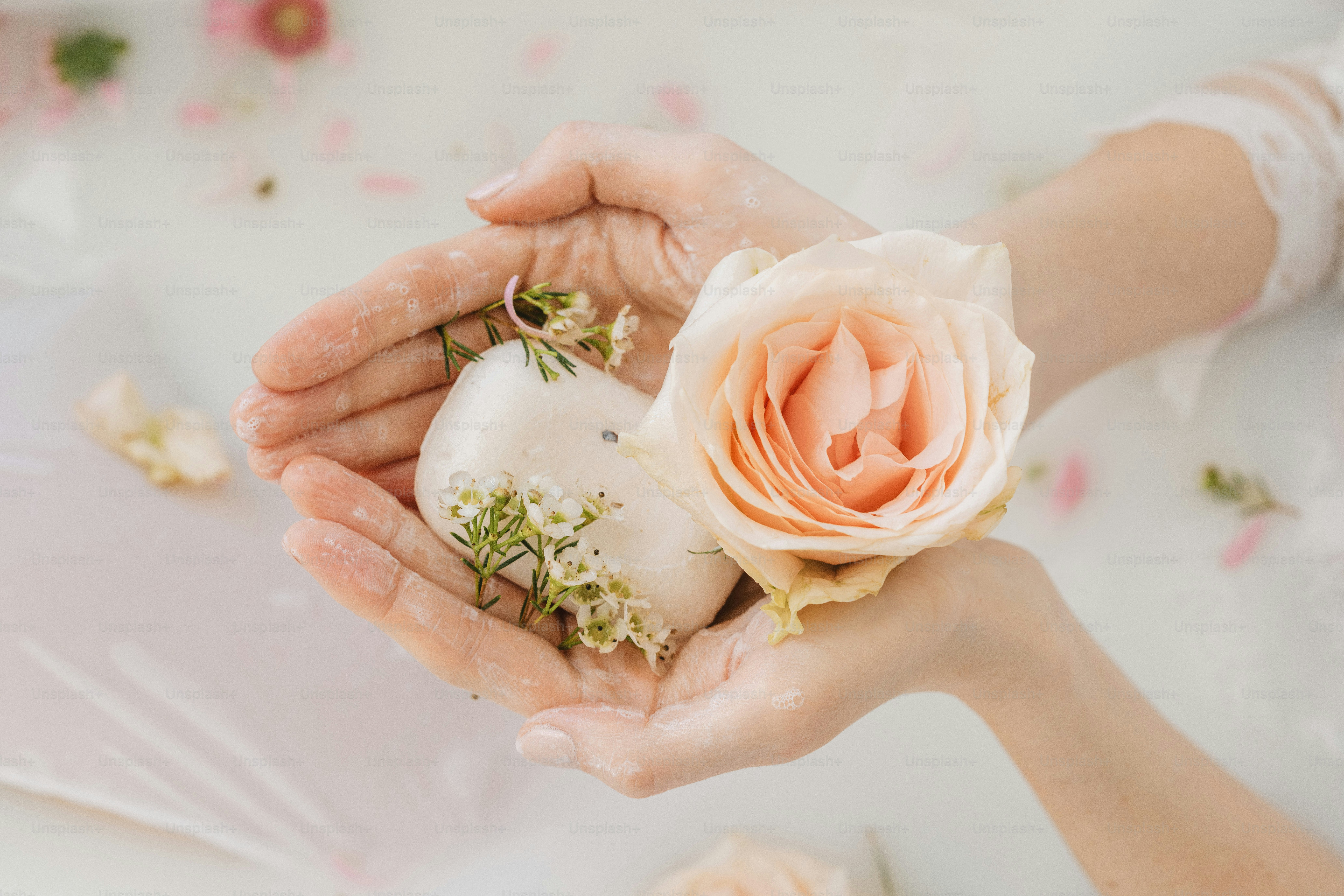 A person holding a flower in their hands photo – Hand flower Image on ...