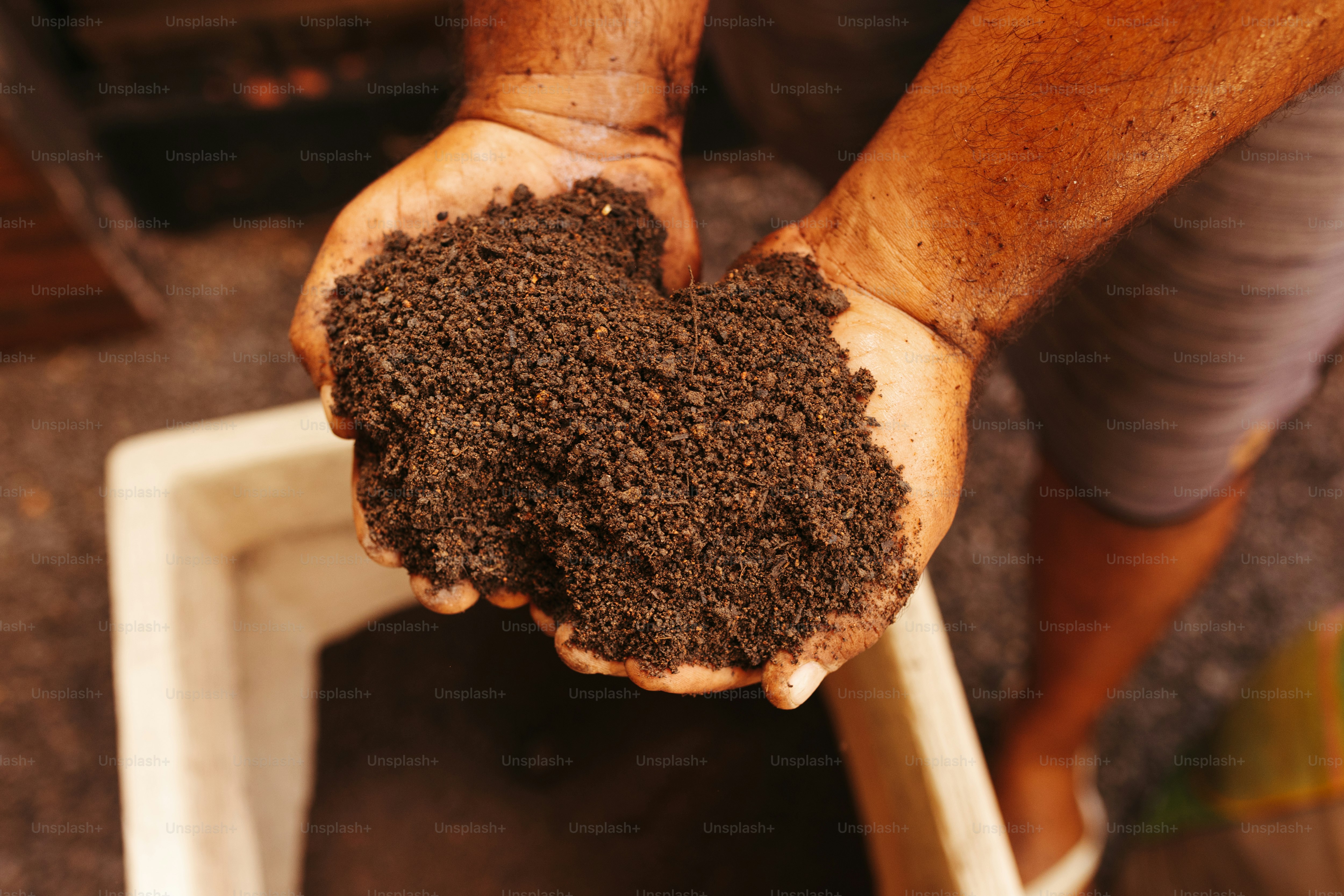 A person holding a handful of dirt in their hands photo – Gardening ...