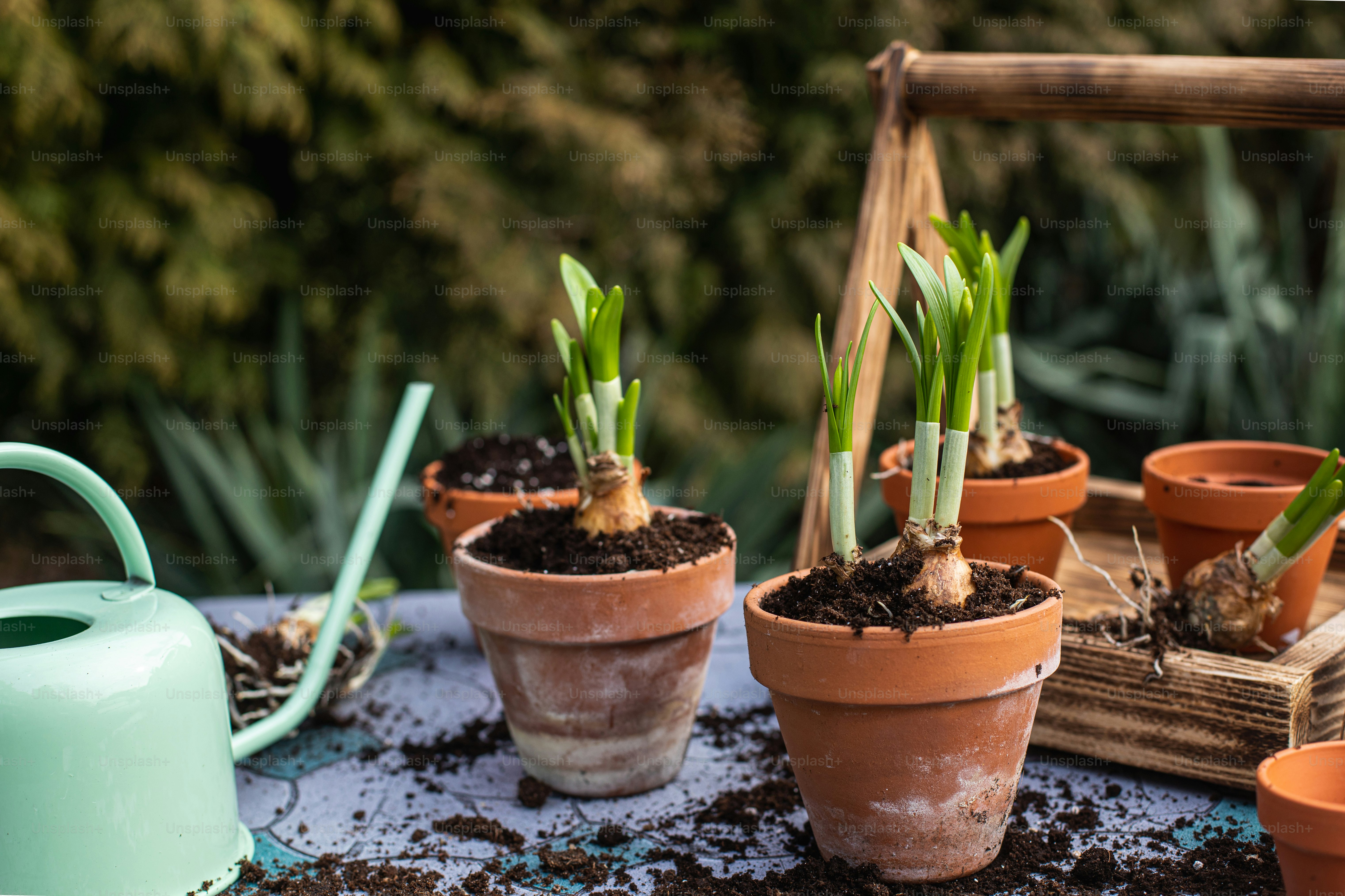 A group of three flower pots sitting on top of a tile floor photo ...