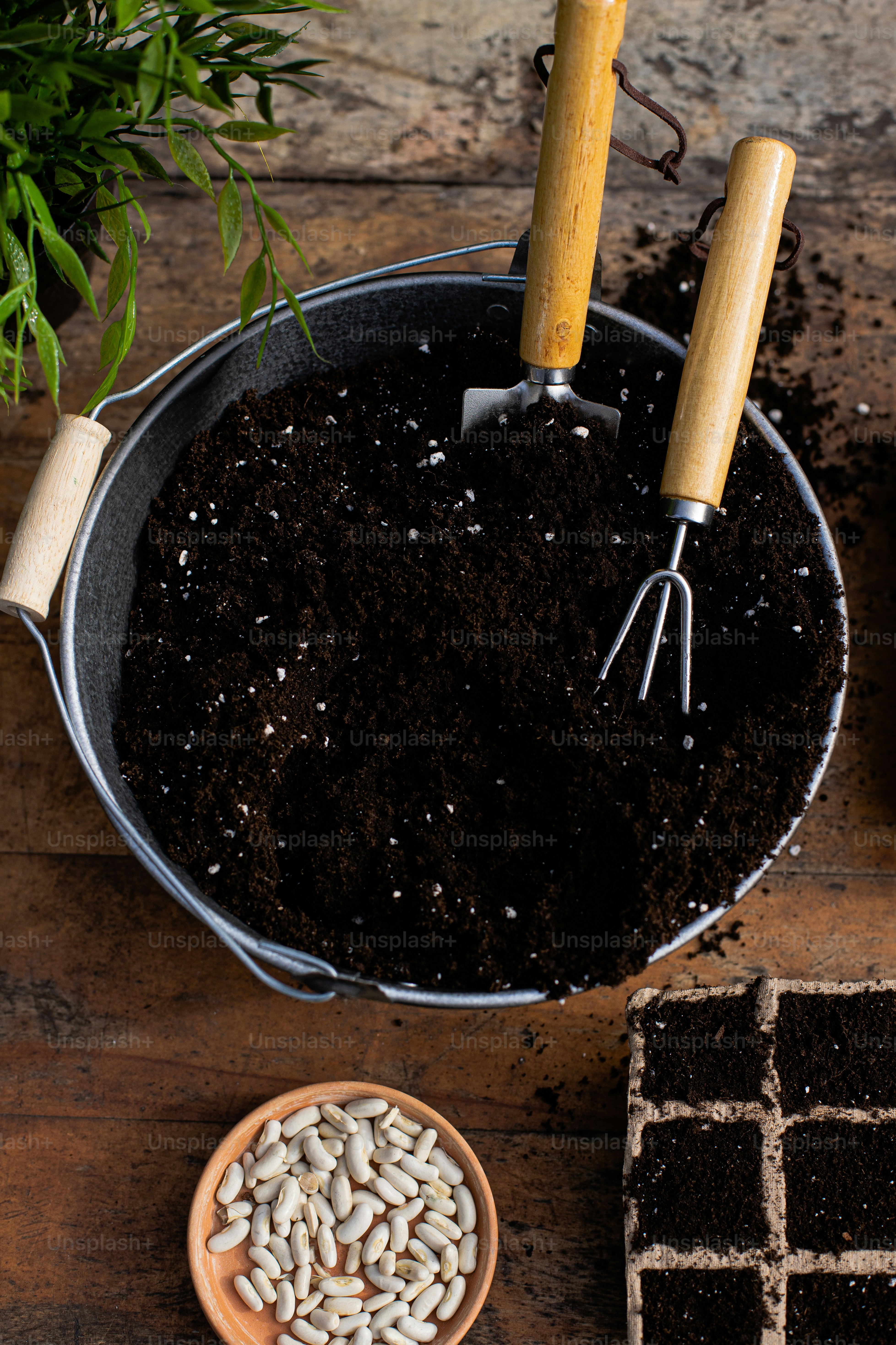500+ Soil Pictures | Download Free Images on Unsplash