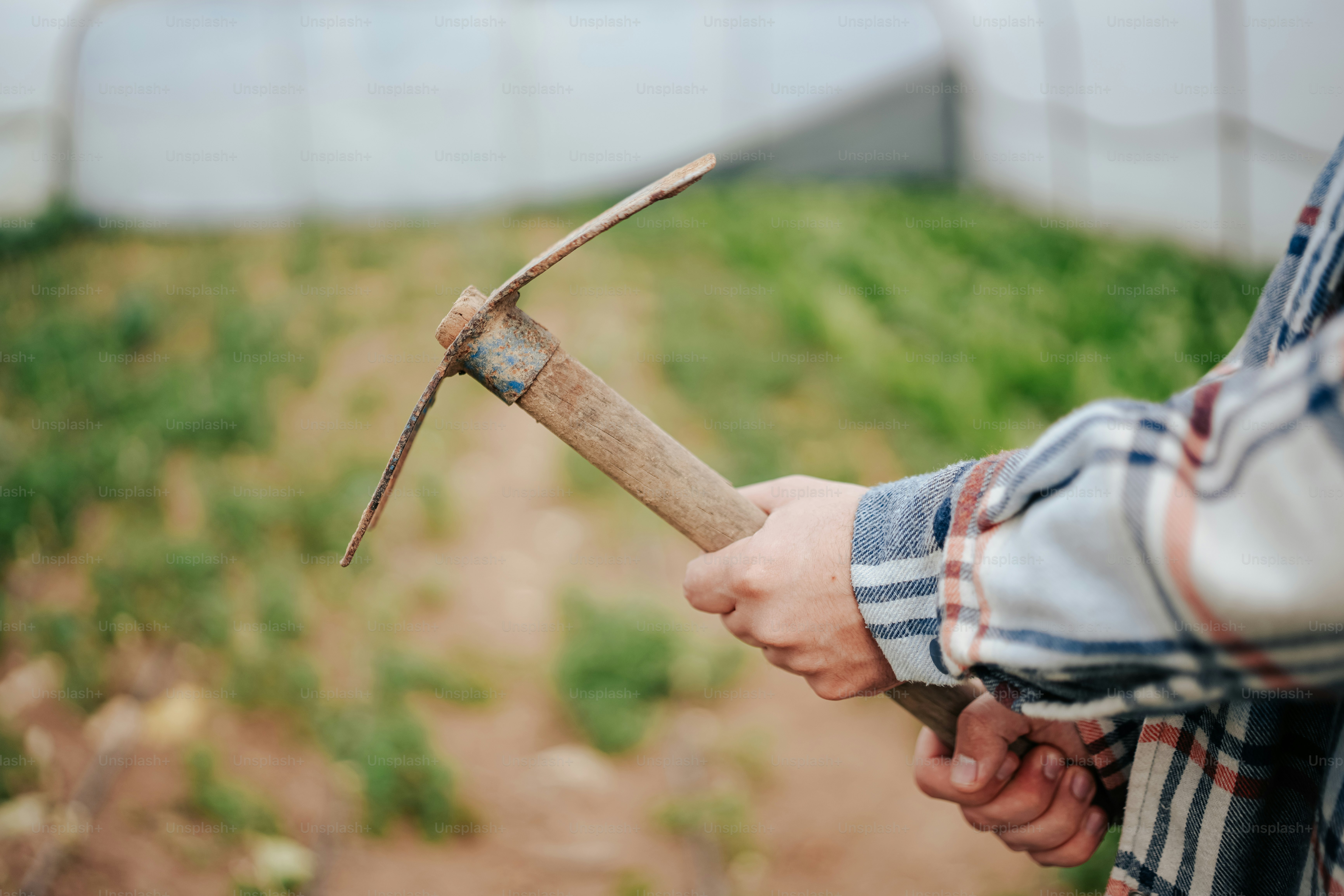 Pickaxe Pictures | Download Free Images on Unsplash