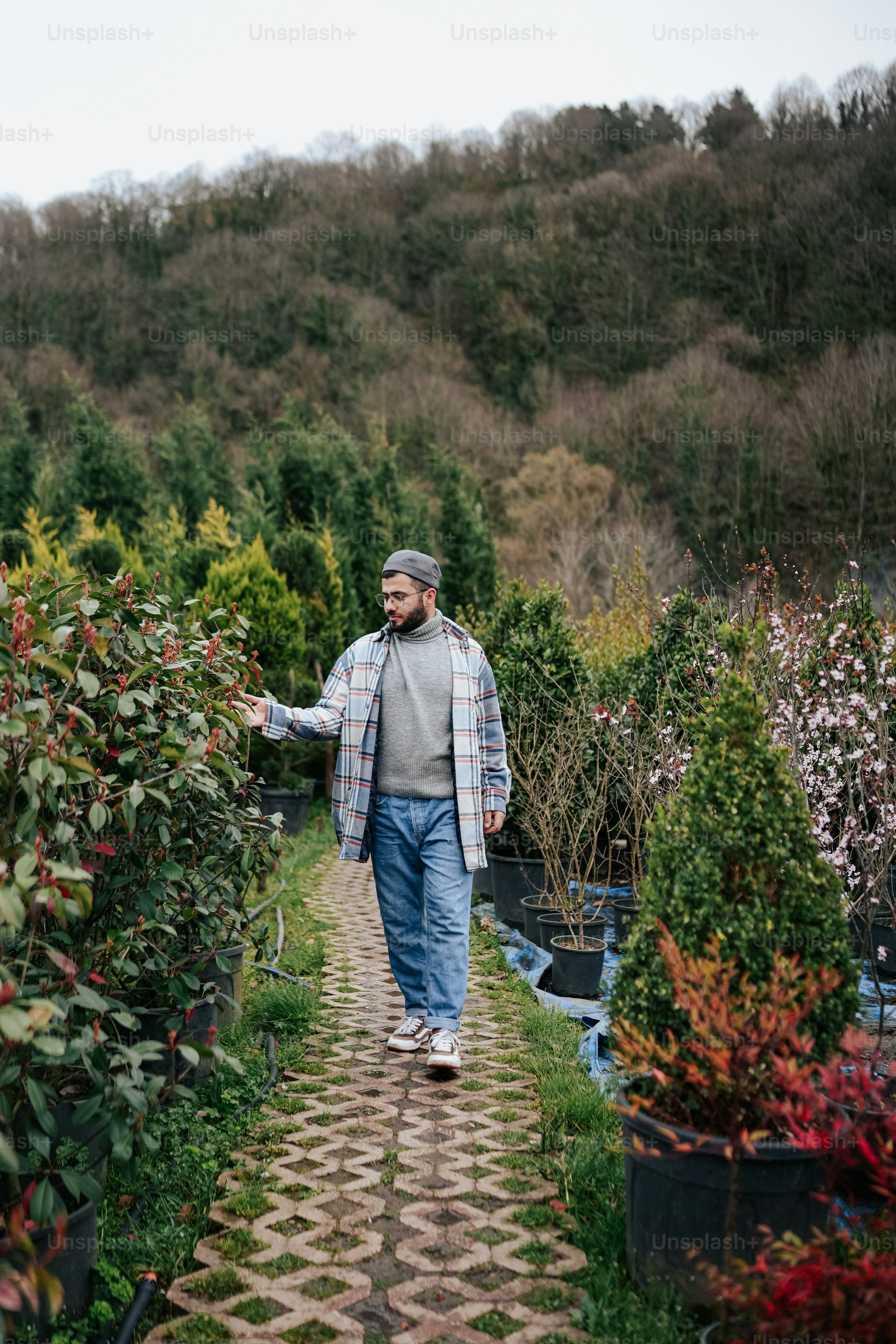 A man walking through a garden filled with lots of plants photo – Plant ...