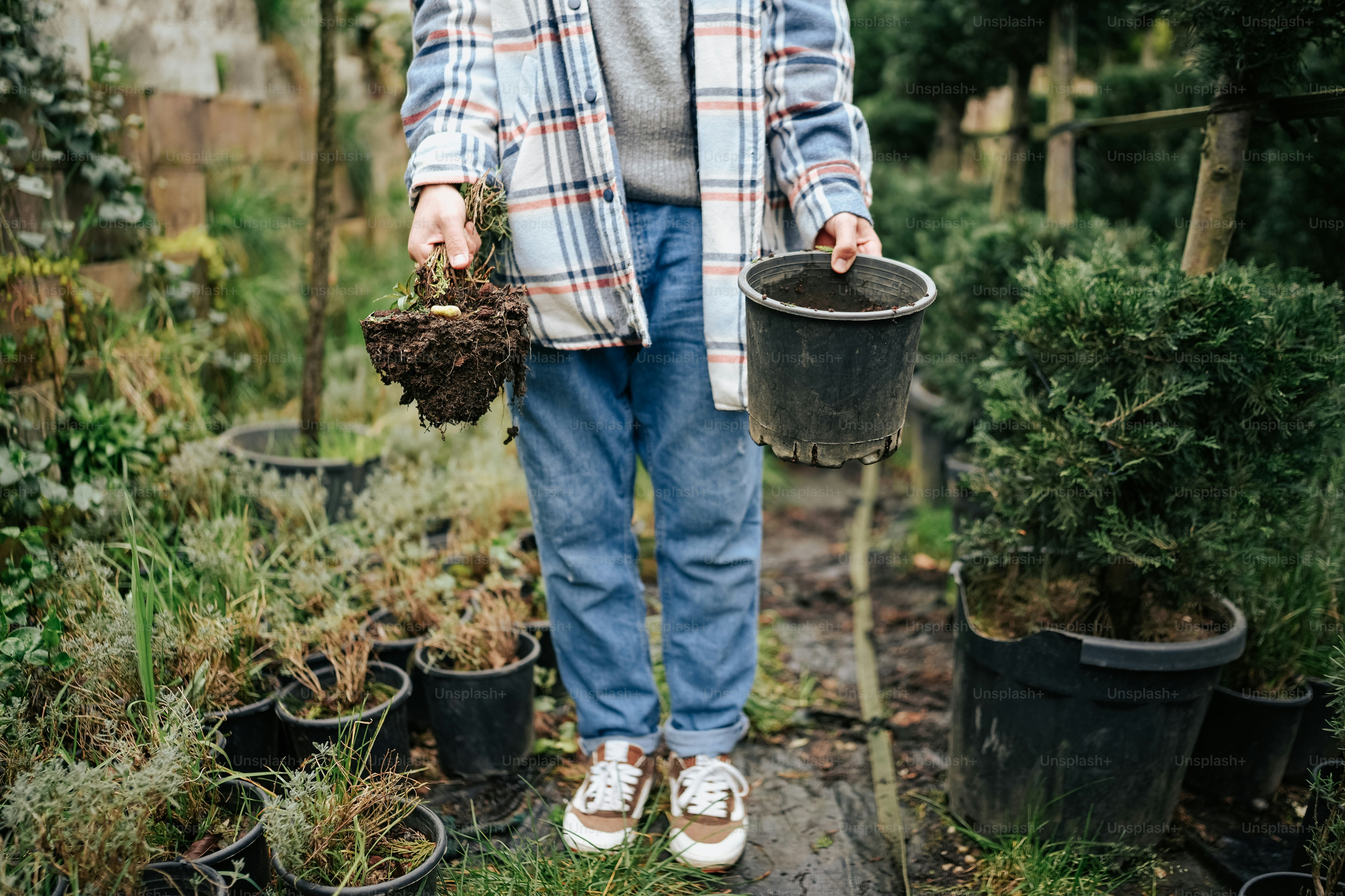 A person standing in a garden holding two buckets photo – Plant Image ...