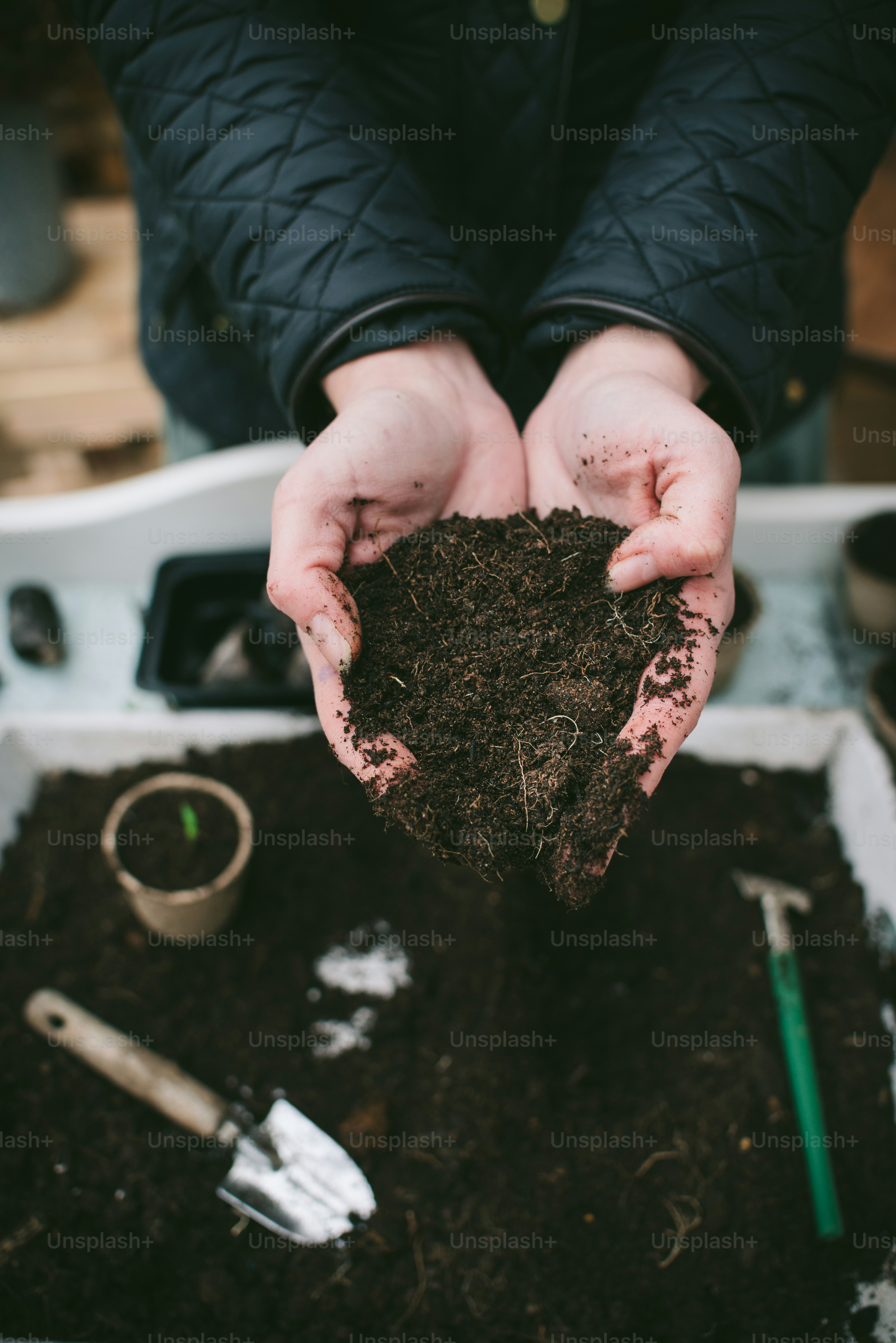 A person holding a handful of dirt in their hands photo – Garden tools ...
