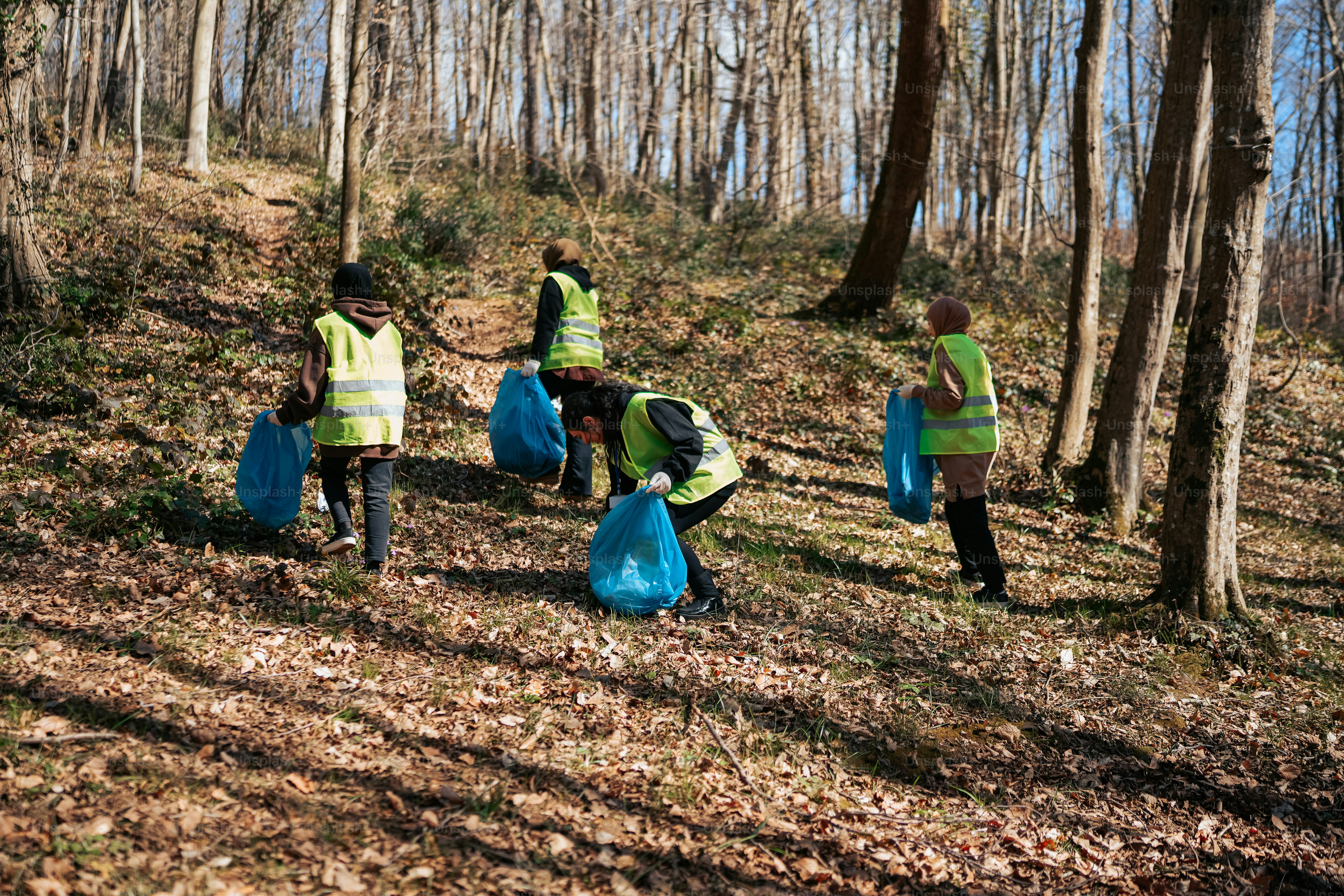A group of people picking up trash in the woods photo – Group Image on ...