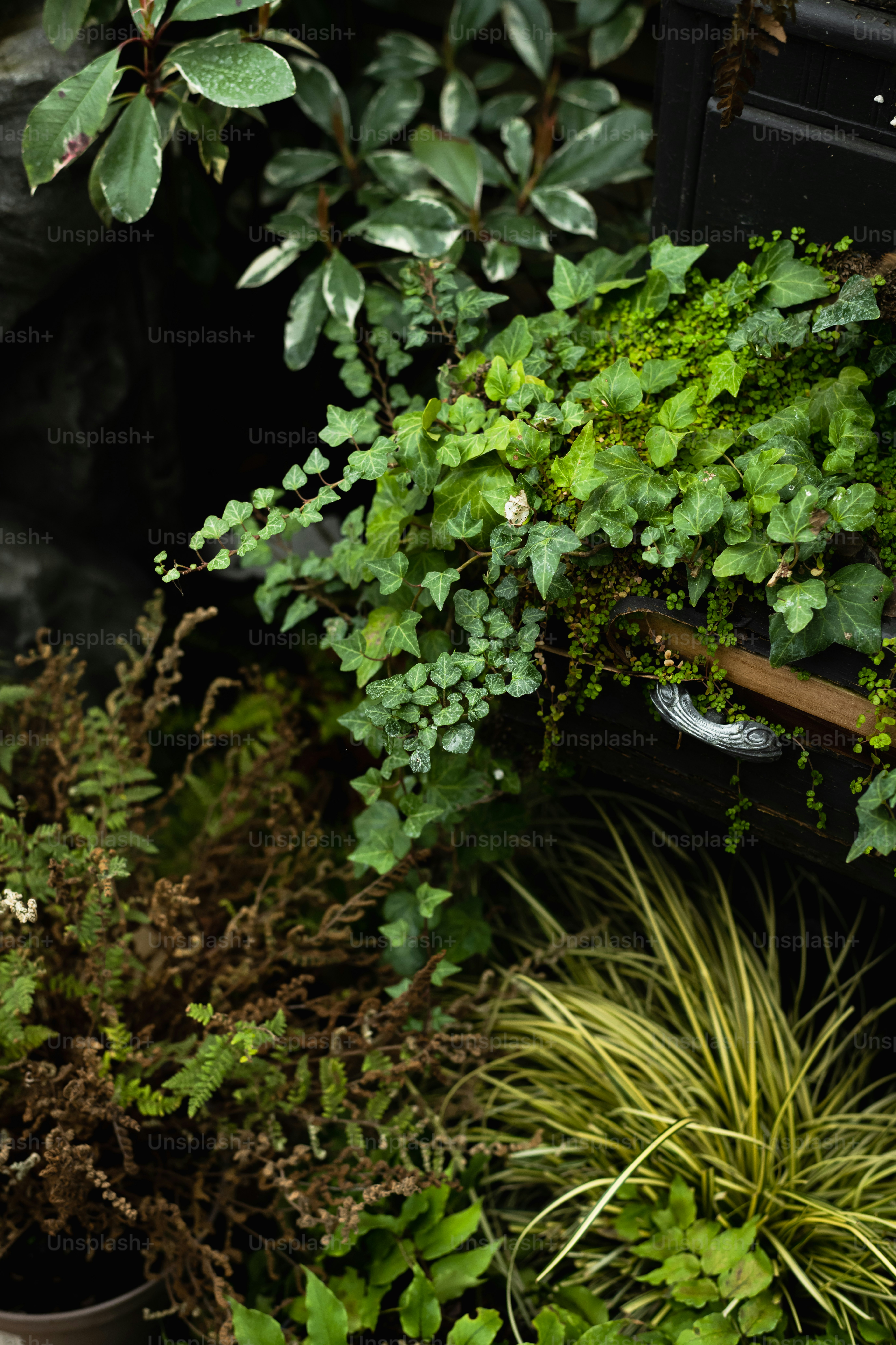 A bunch of plants that are sitting on a table photo – Garden Image on ...