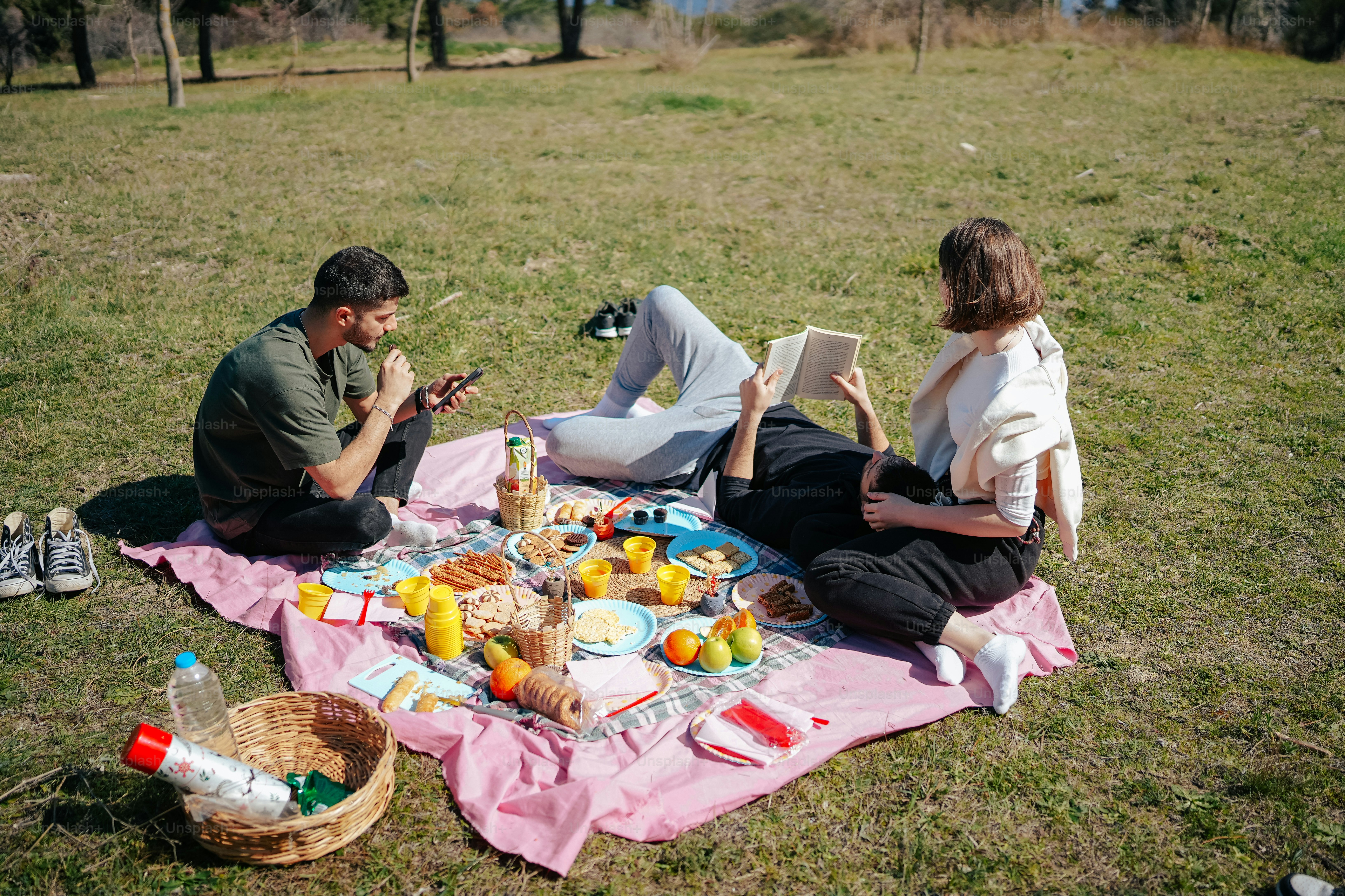 Piknik Pictures | Download Free Images on Unsplash