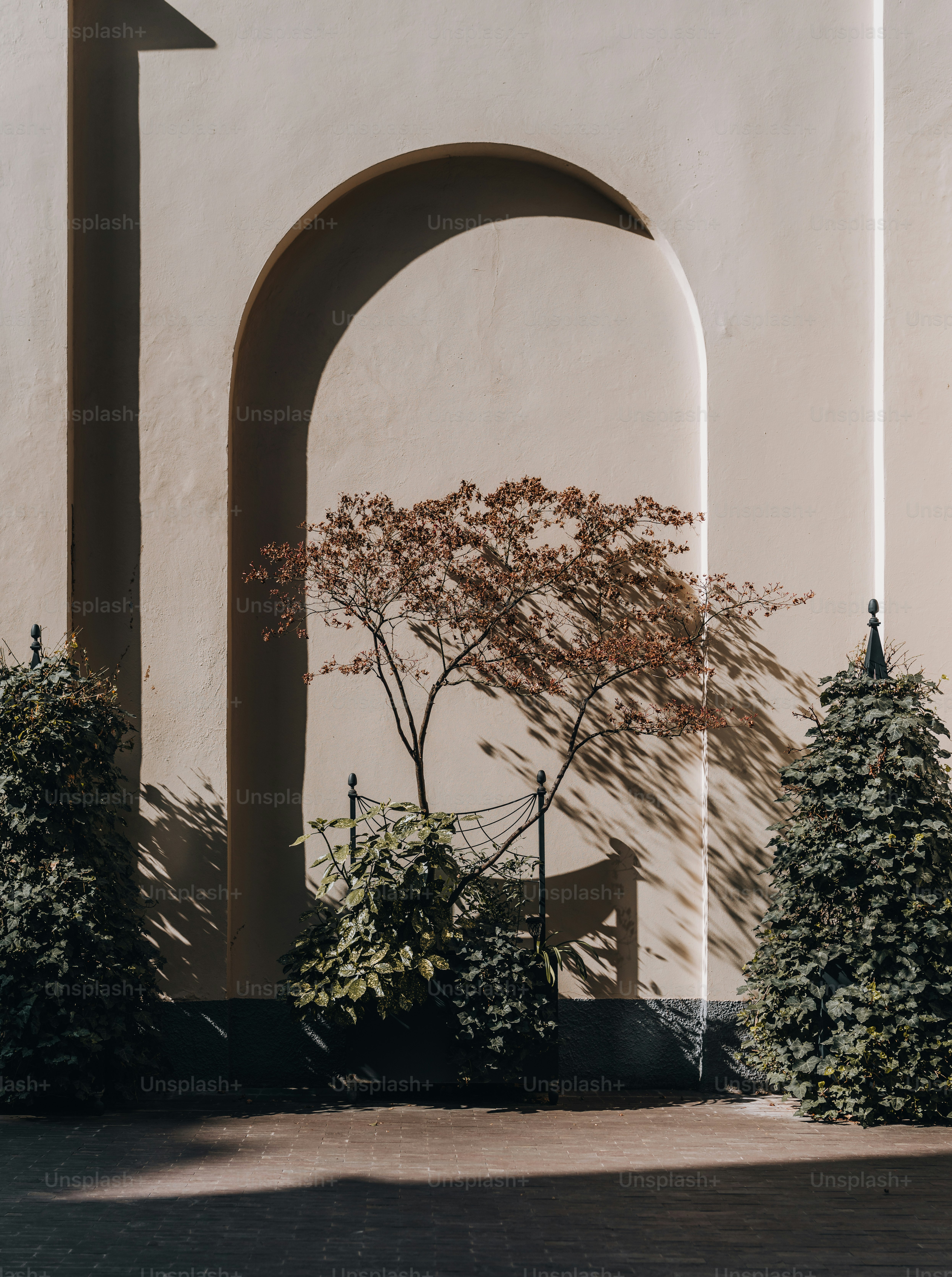 Building Wall Pictures | Download Free Images on Unsplash