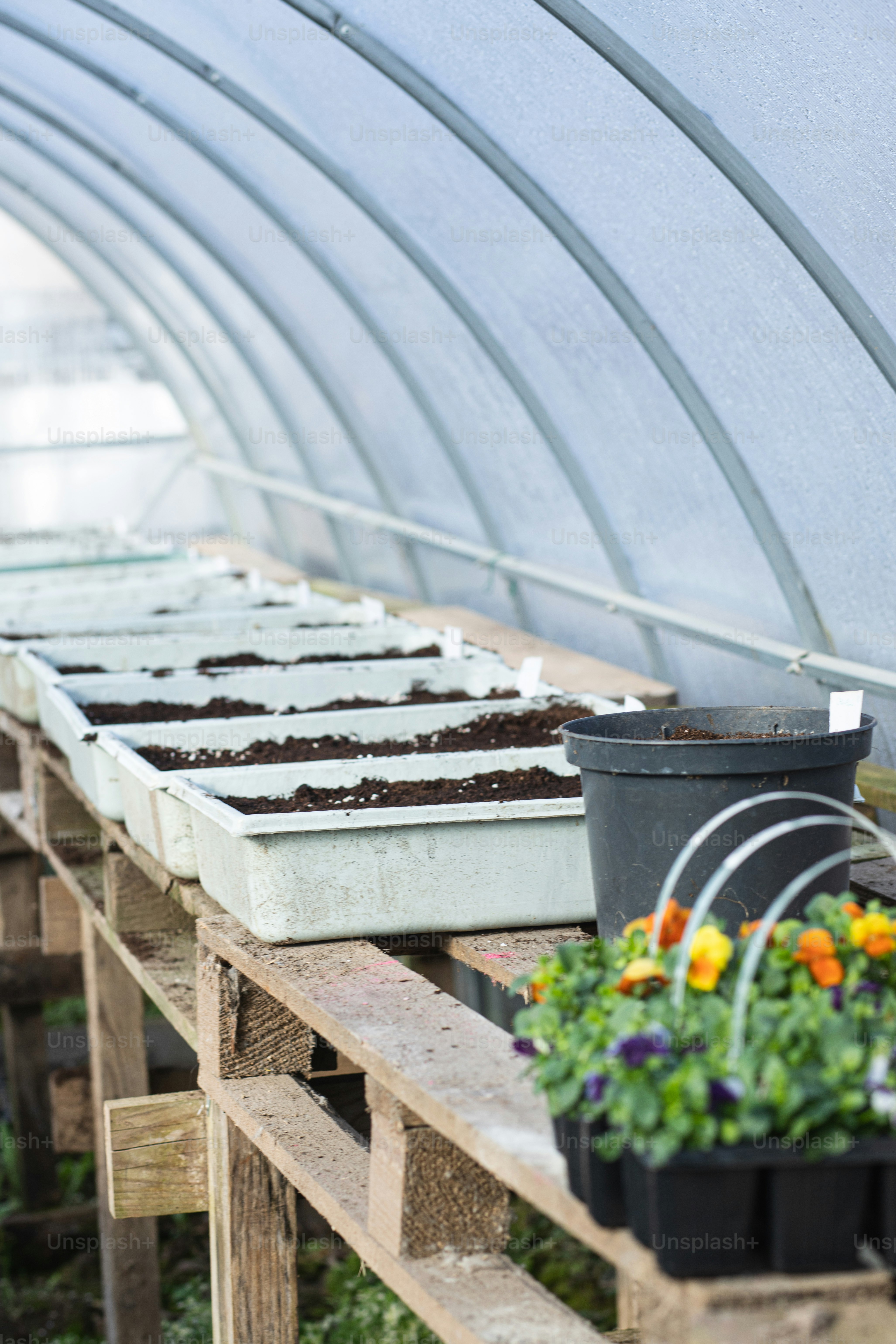 A row of greenhouses filled with potted plants photo – Greenhouse Image ...