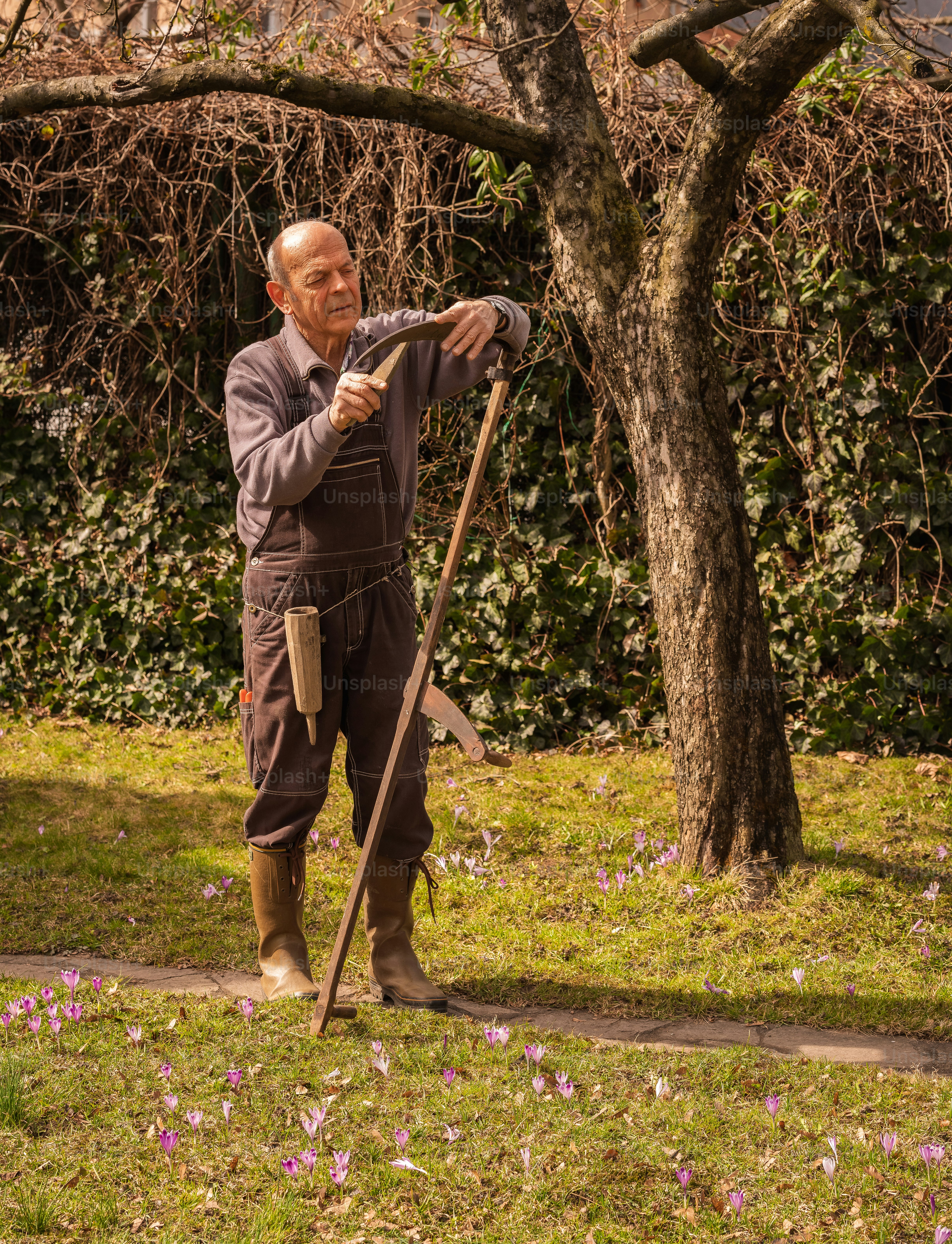 Un vieil homme tenant un bâton dans un parc photo – La nature Photo sur ...