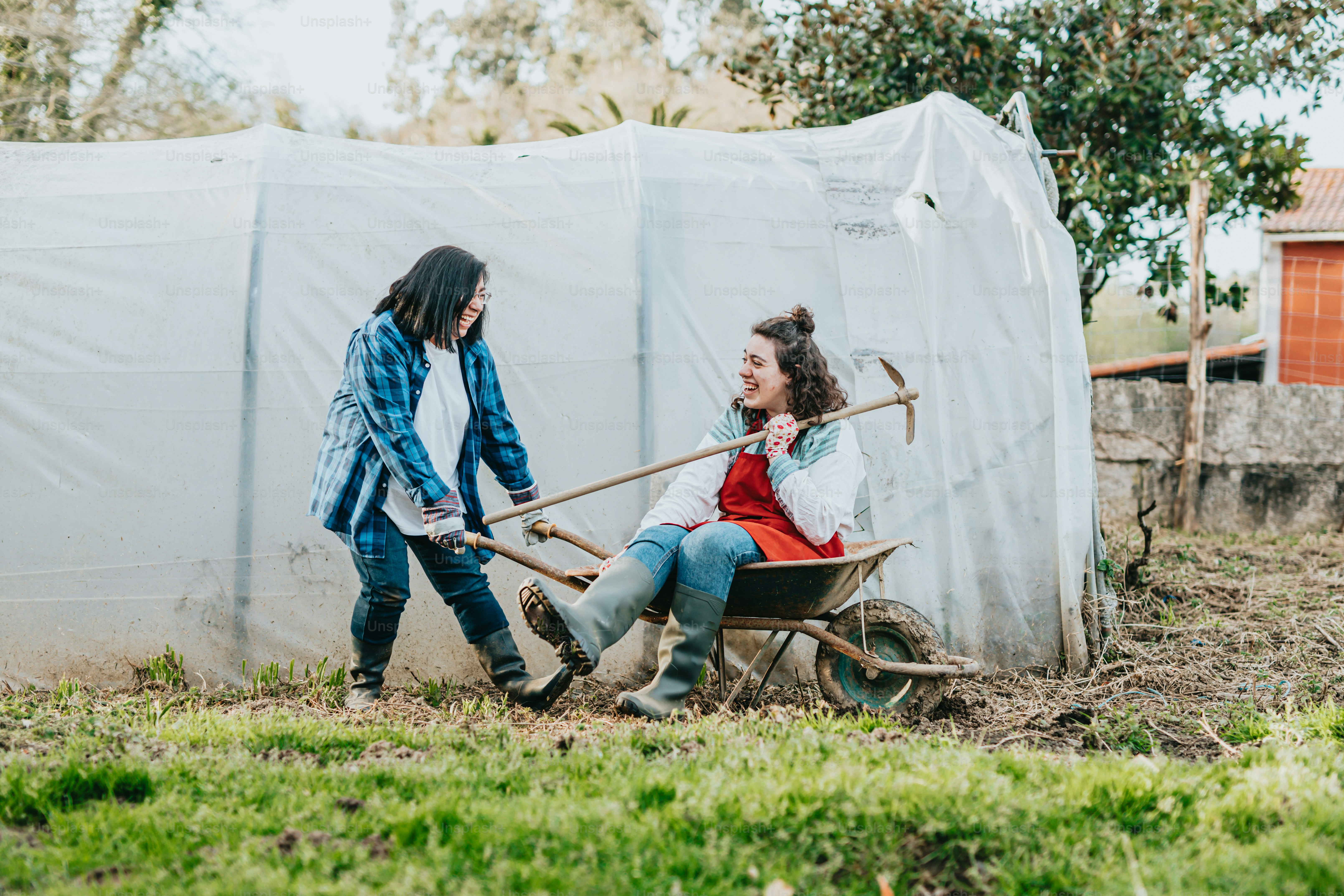 Two girls pushing a wheelbarrow in a yard photo – Nature Image on Unsplash