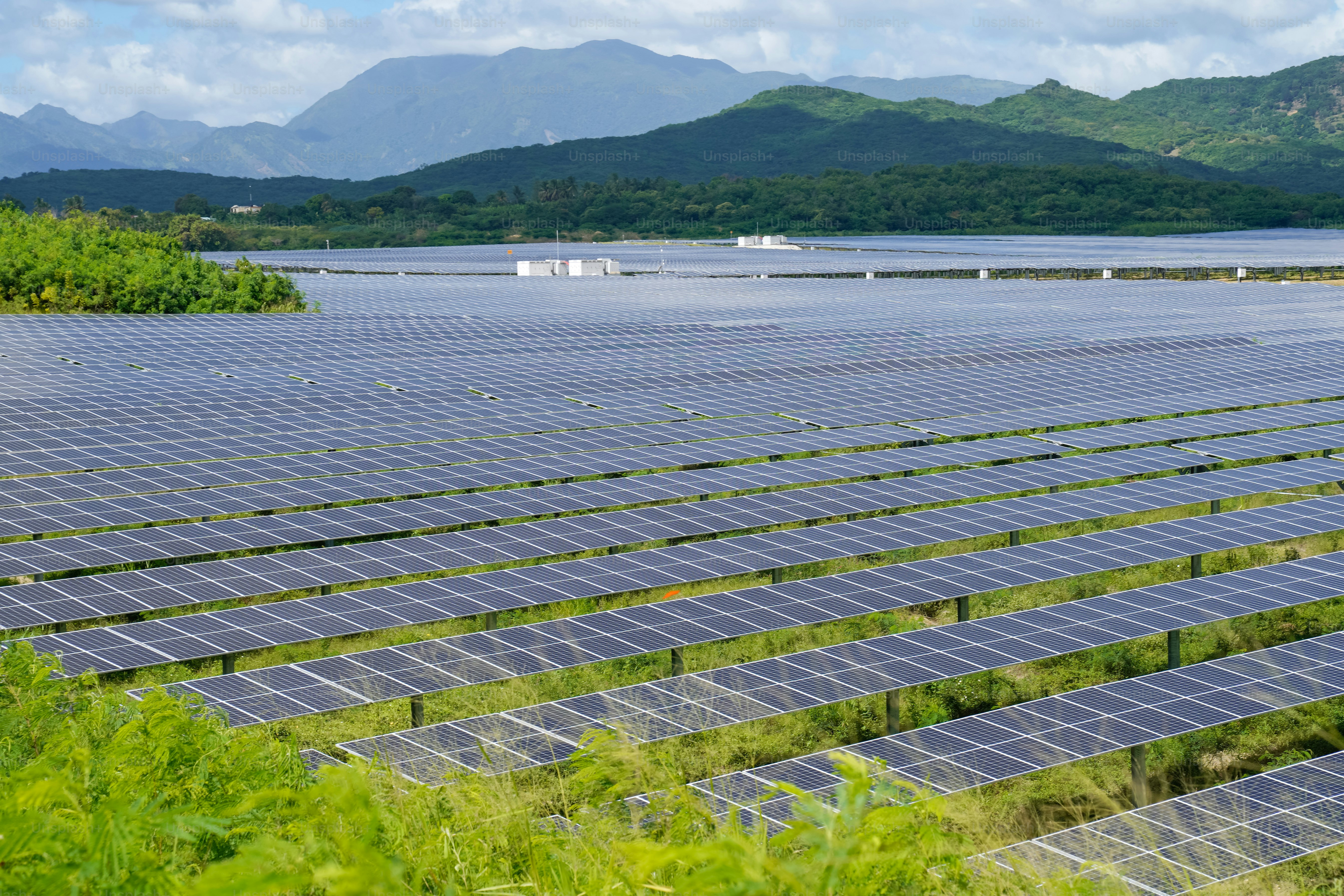 Rows of solar panels in a field with mountains in the background photo ...