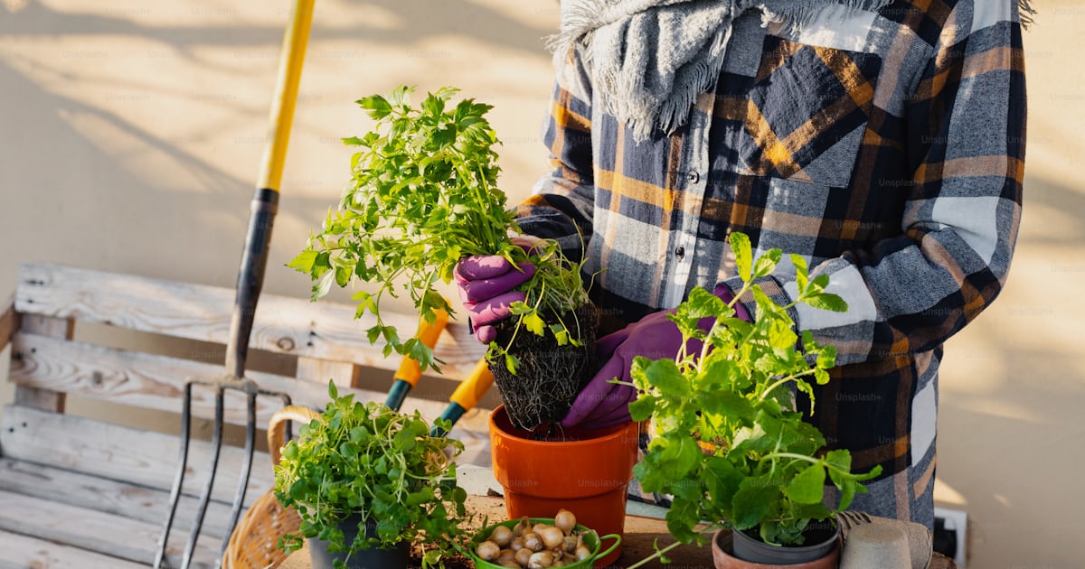 Un Homme Debout à Côté Dune Table Remplie De Plantes En Pot Photo