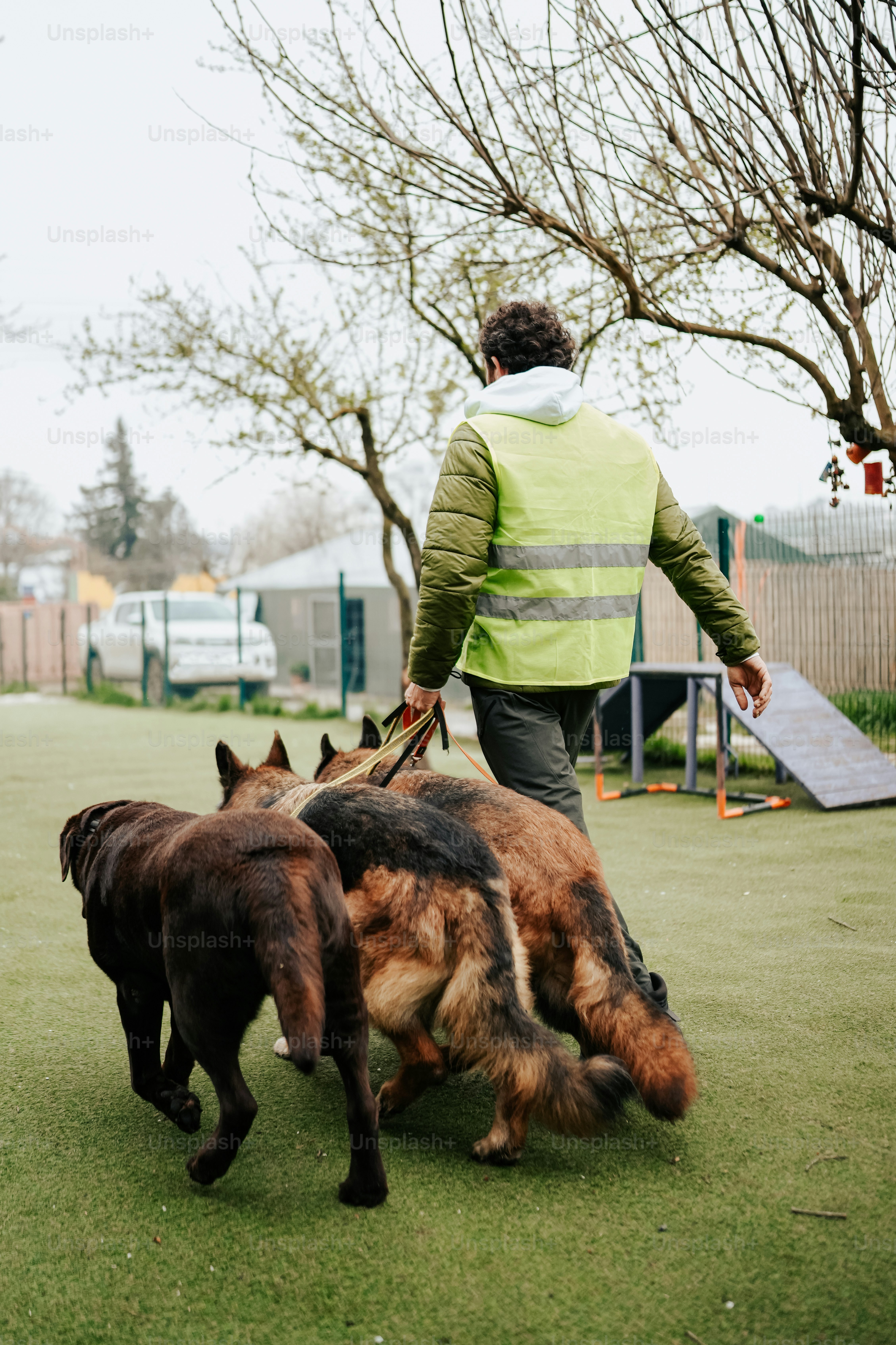 A man walking two dogs on a leash photo – Dog Image on Unsplash