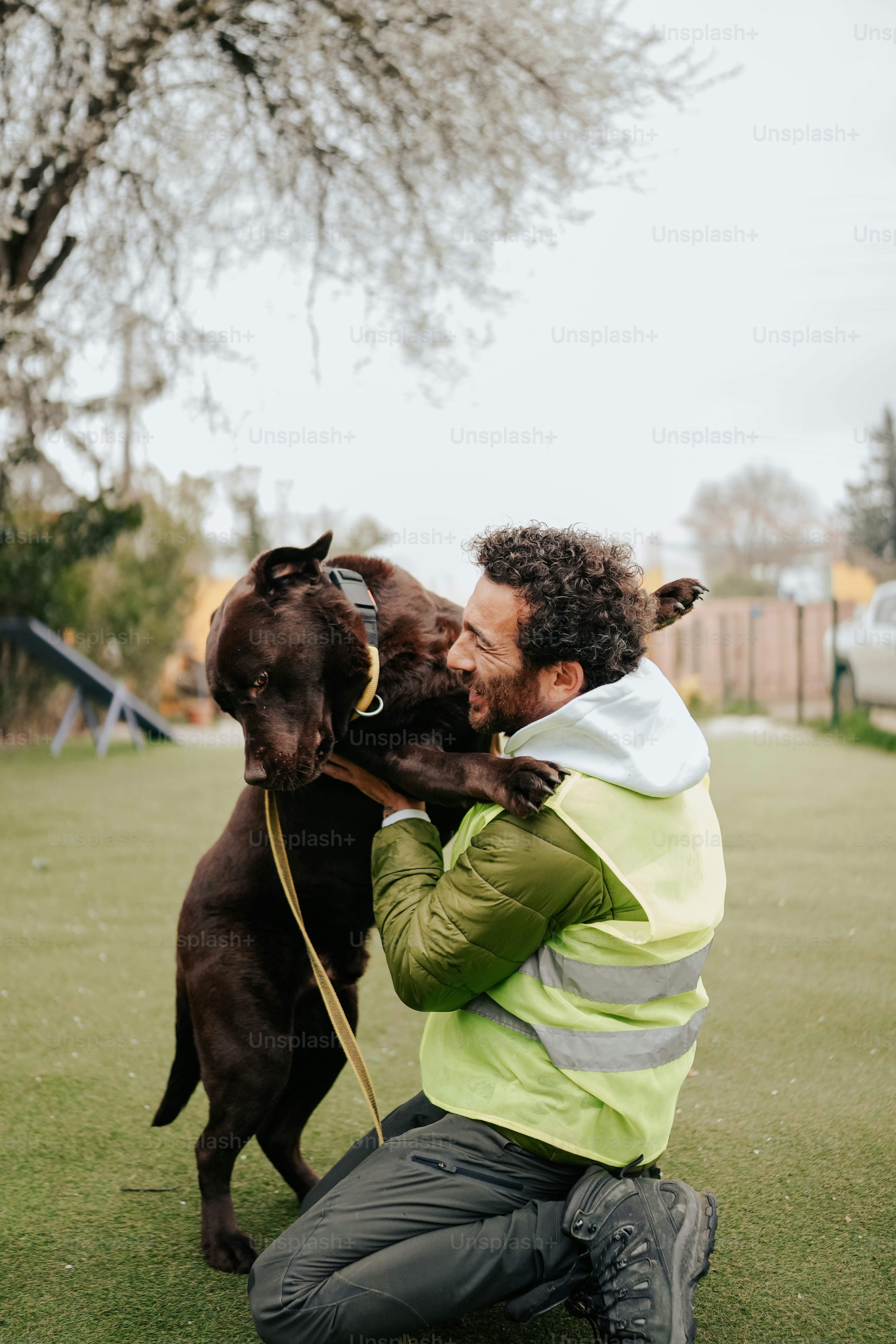 A man kneeling down next to a brown dog photo – Canine Image on Unsplash