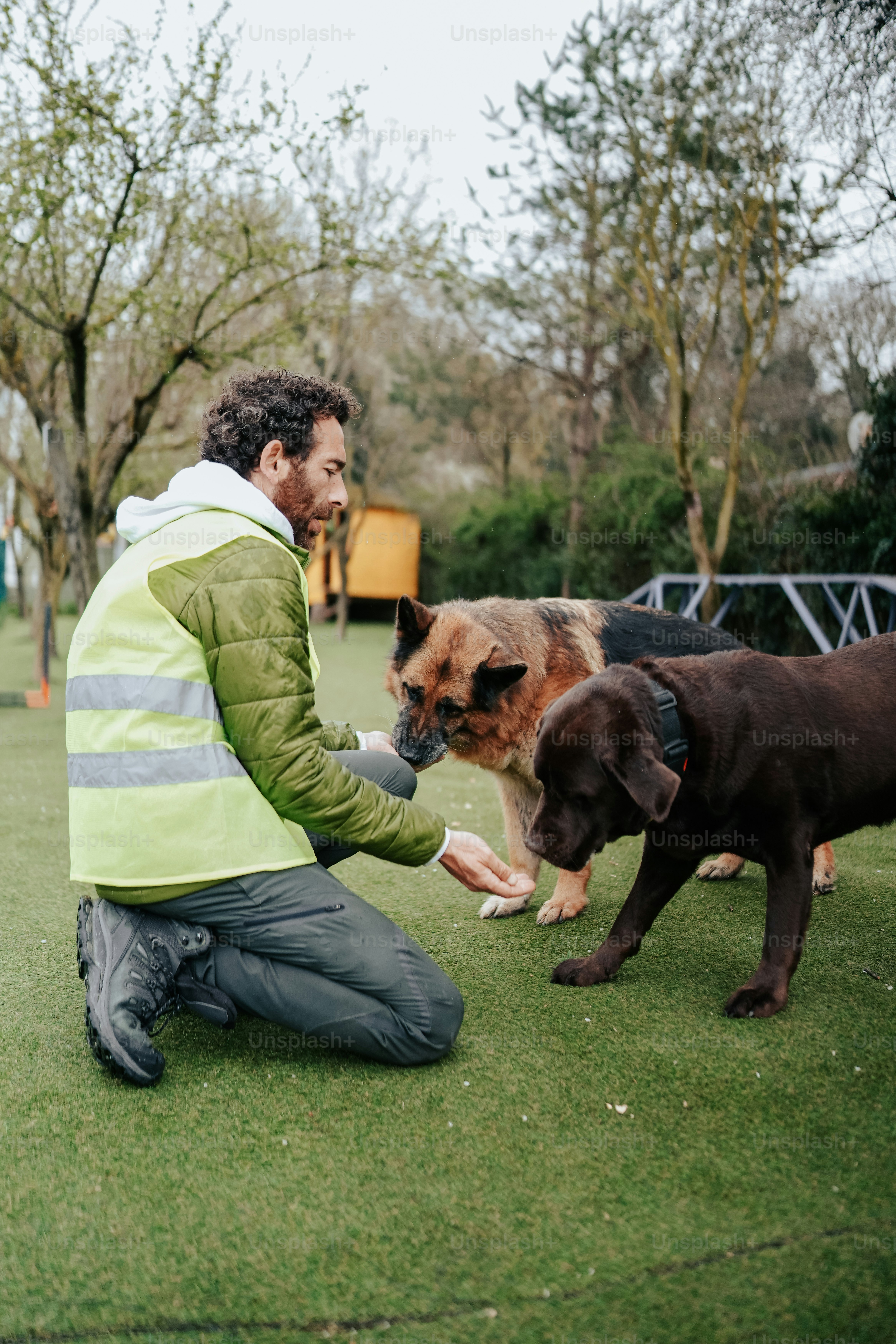 A man kneeling down next to a brown dog photo – Canine Image on Unsplash