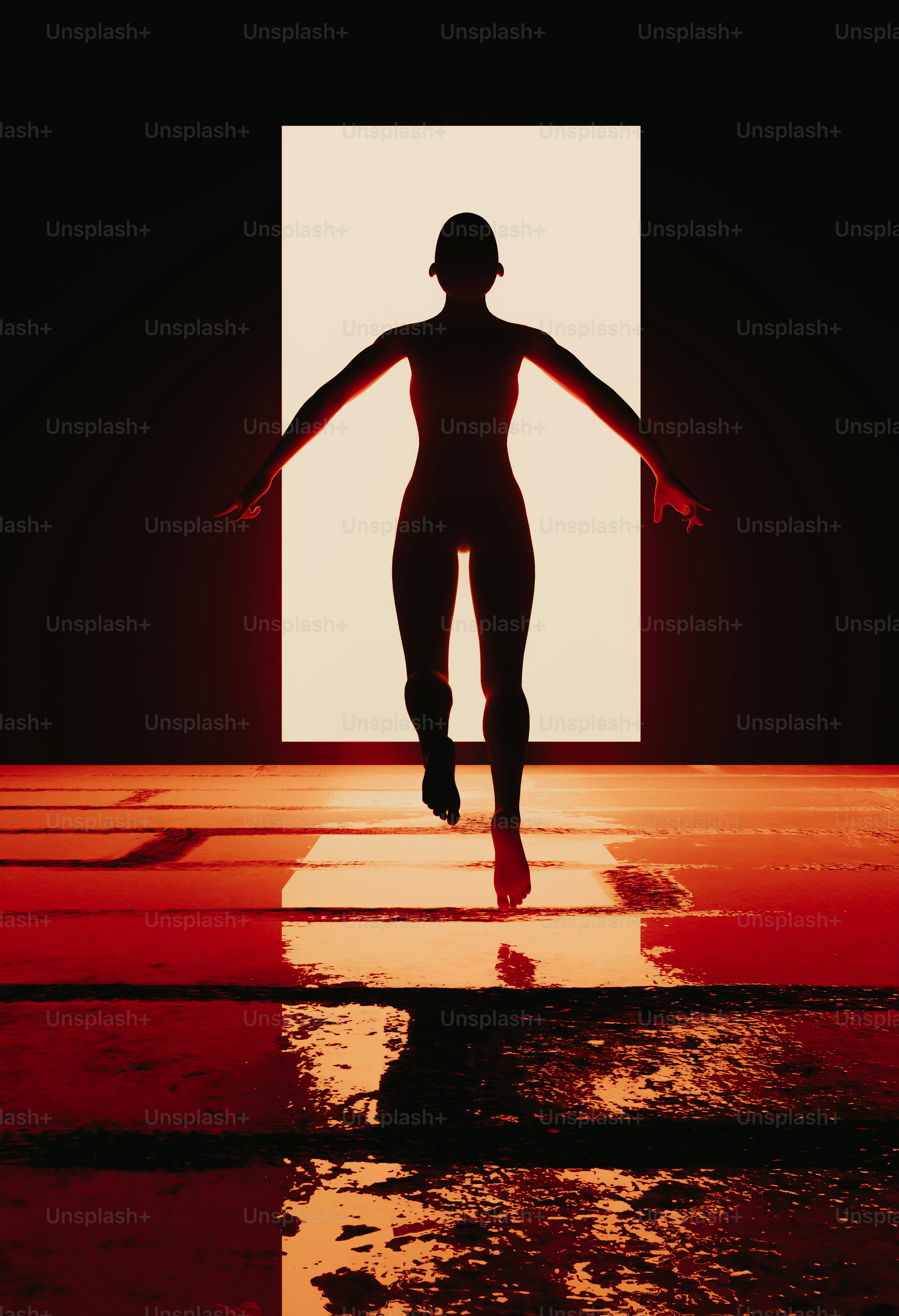 Imágenes de Contraluz | Descarga imágenes gratuitas en Unsplash