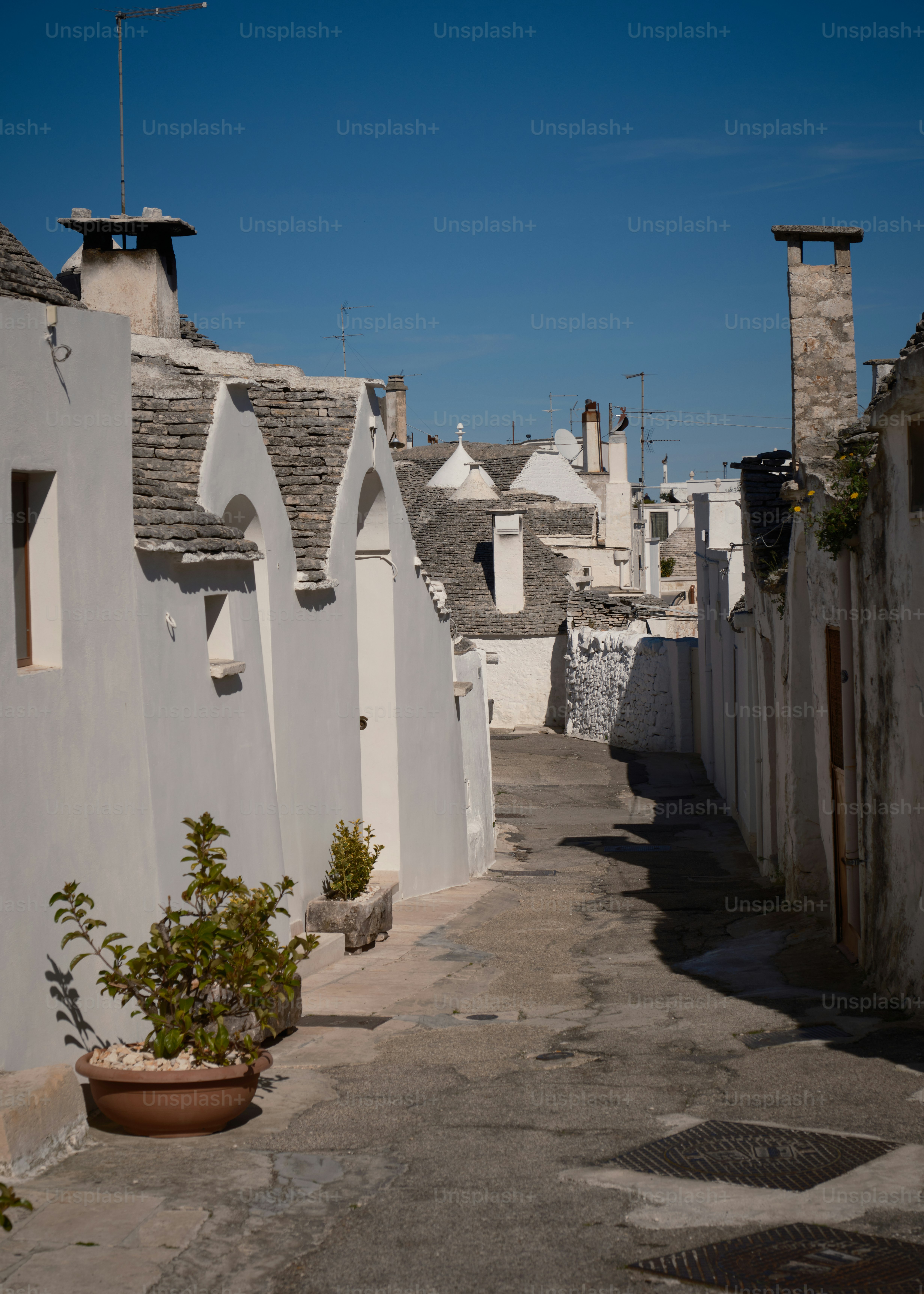 100+ Street Pictures | Download Free Images on Unsplash