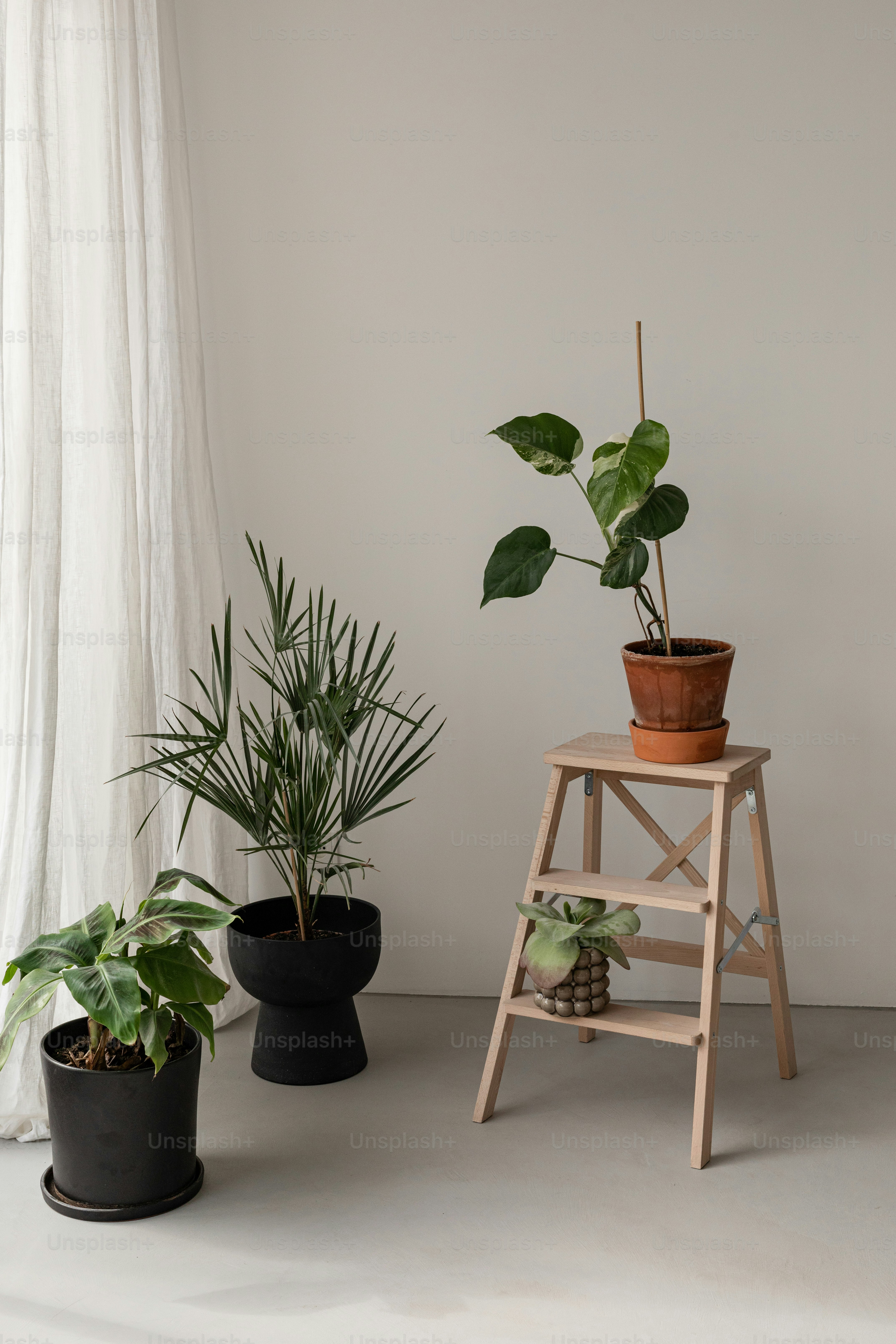 Trois plantes en pot assises sur un tabouret en bois photo – Plantes ...