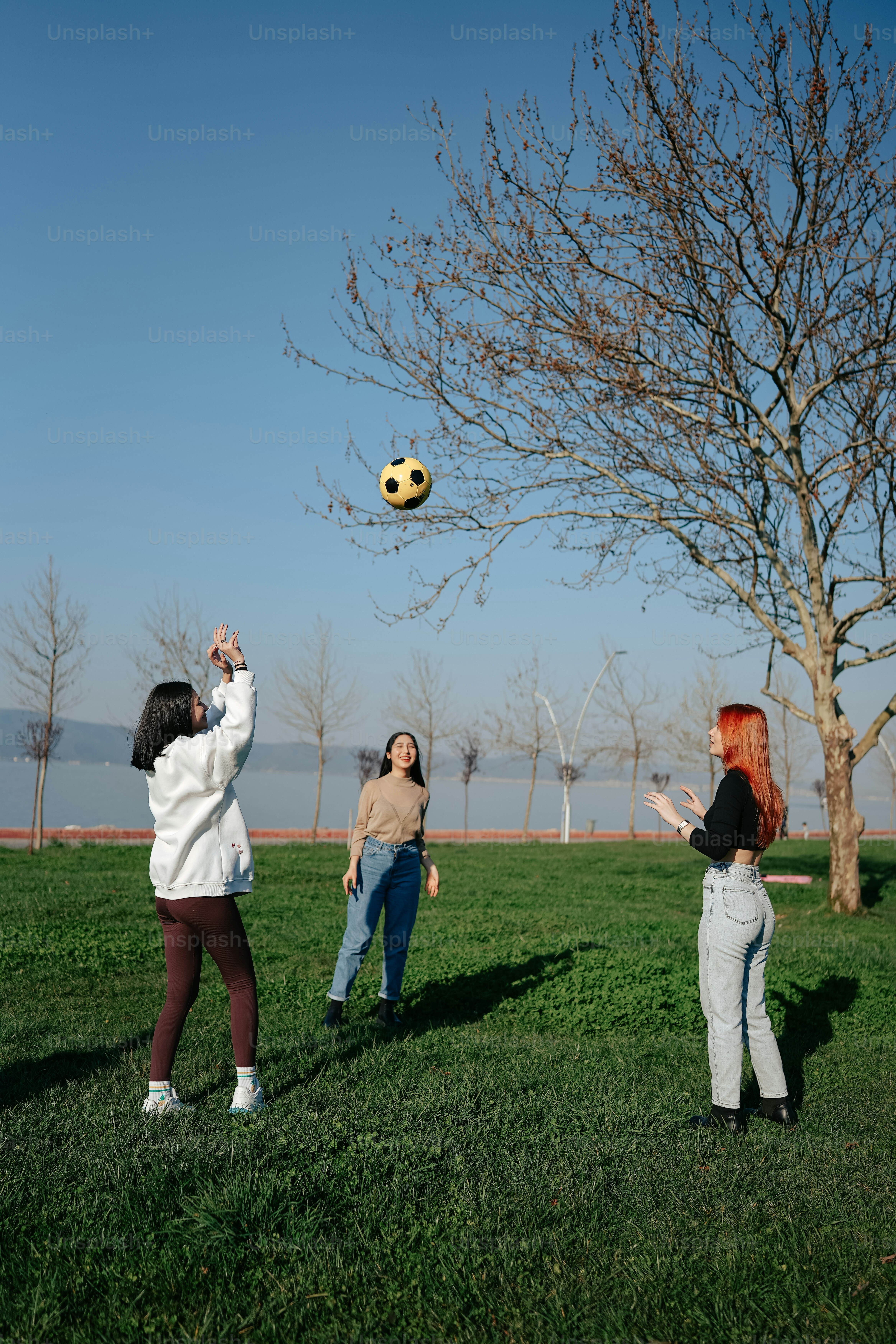 Throwing Ball Pictures | Download Free Images on Unsplash