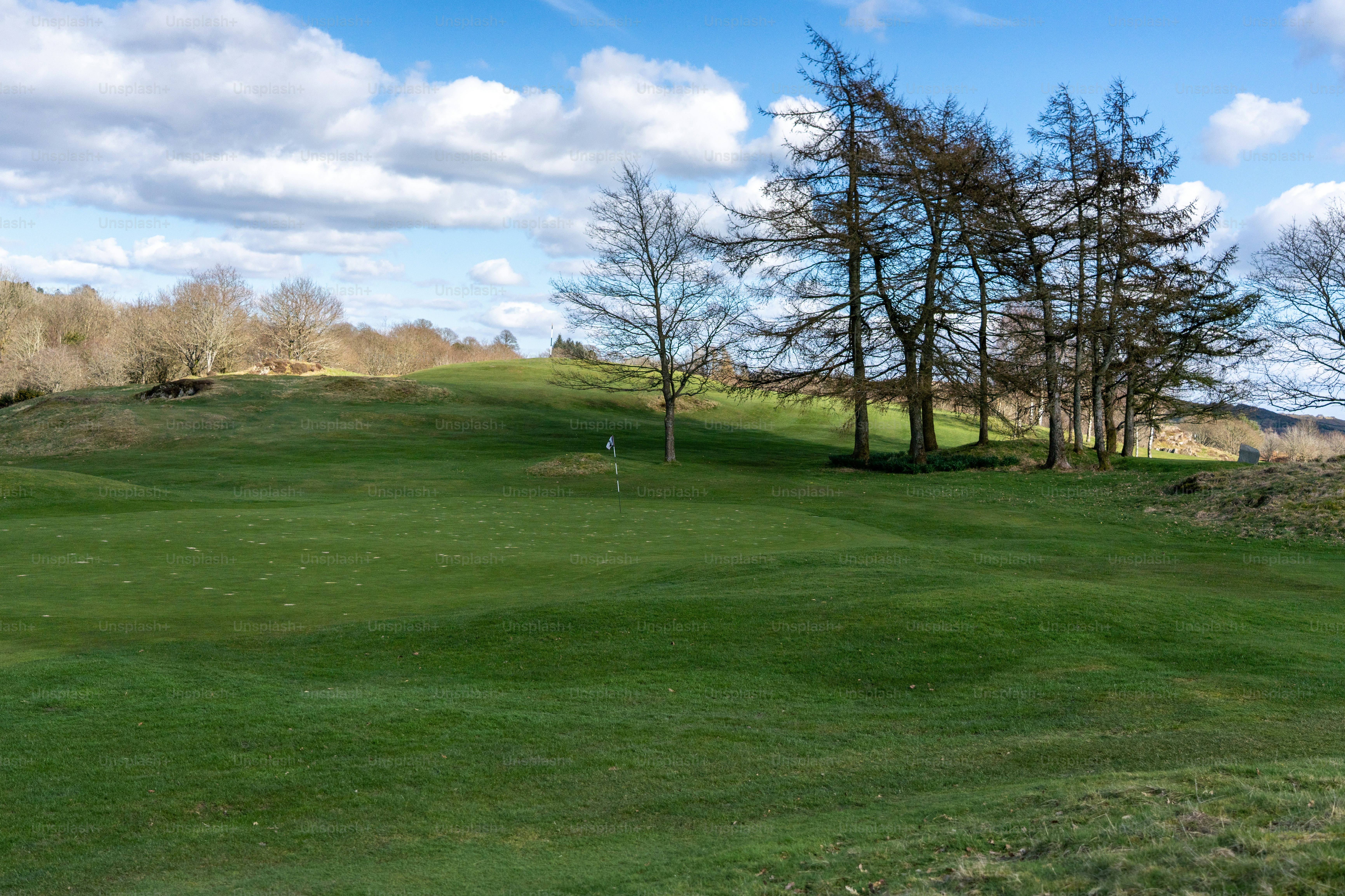 A green golf course with trees on the side photo – Golfing Image on ...