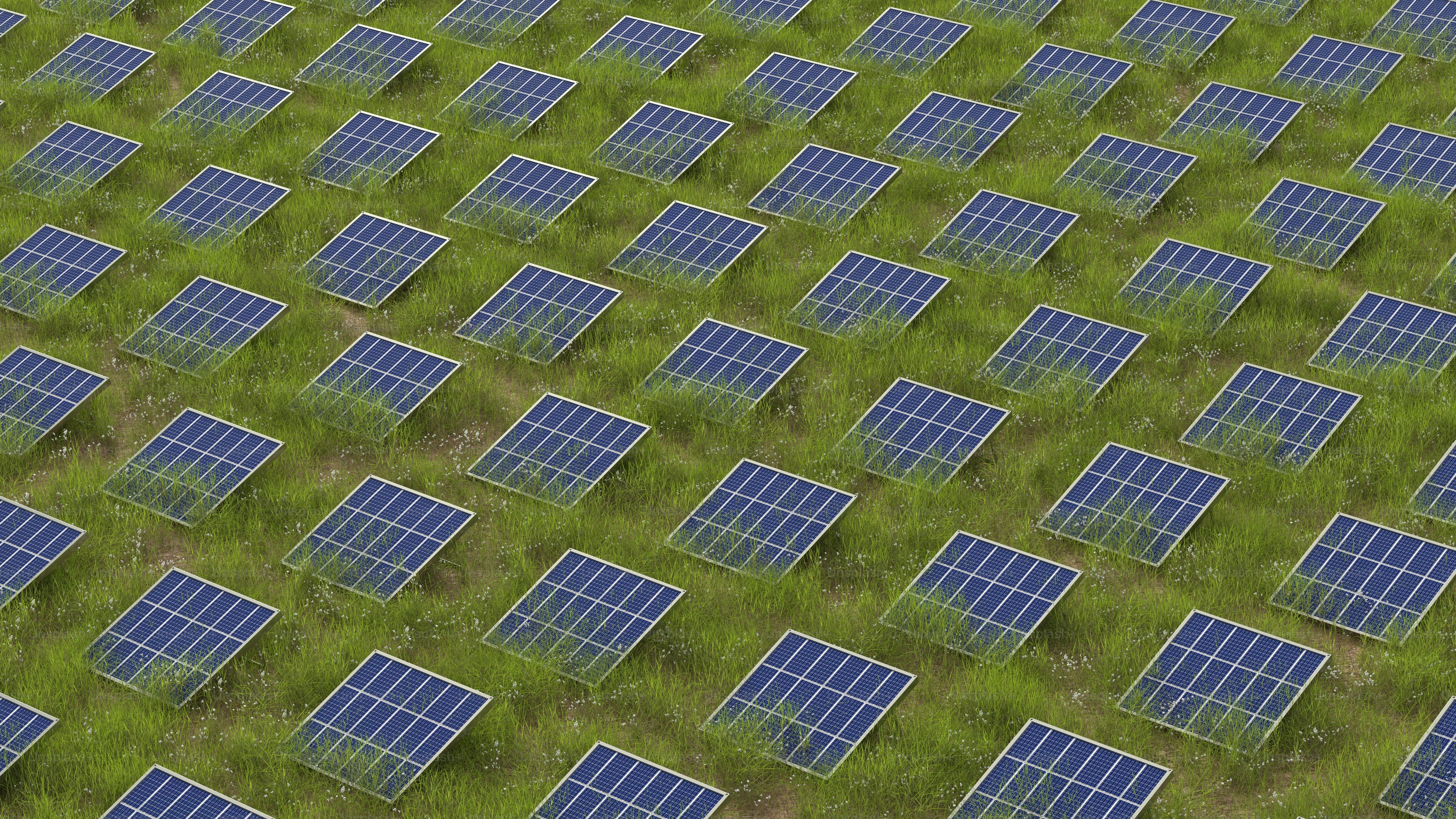 A field full of solar panels sitting on top of a grass covered field ...