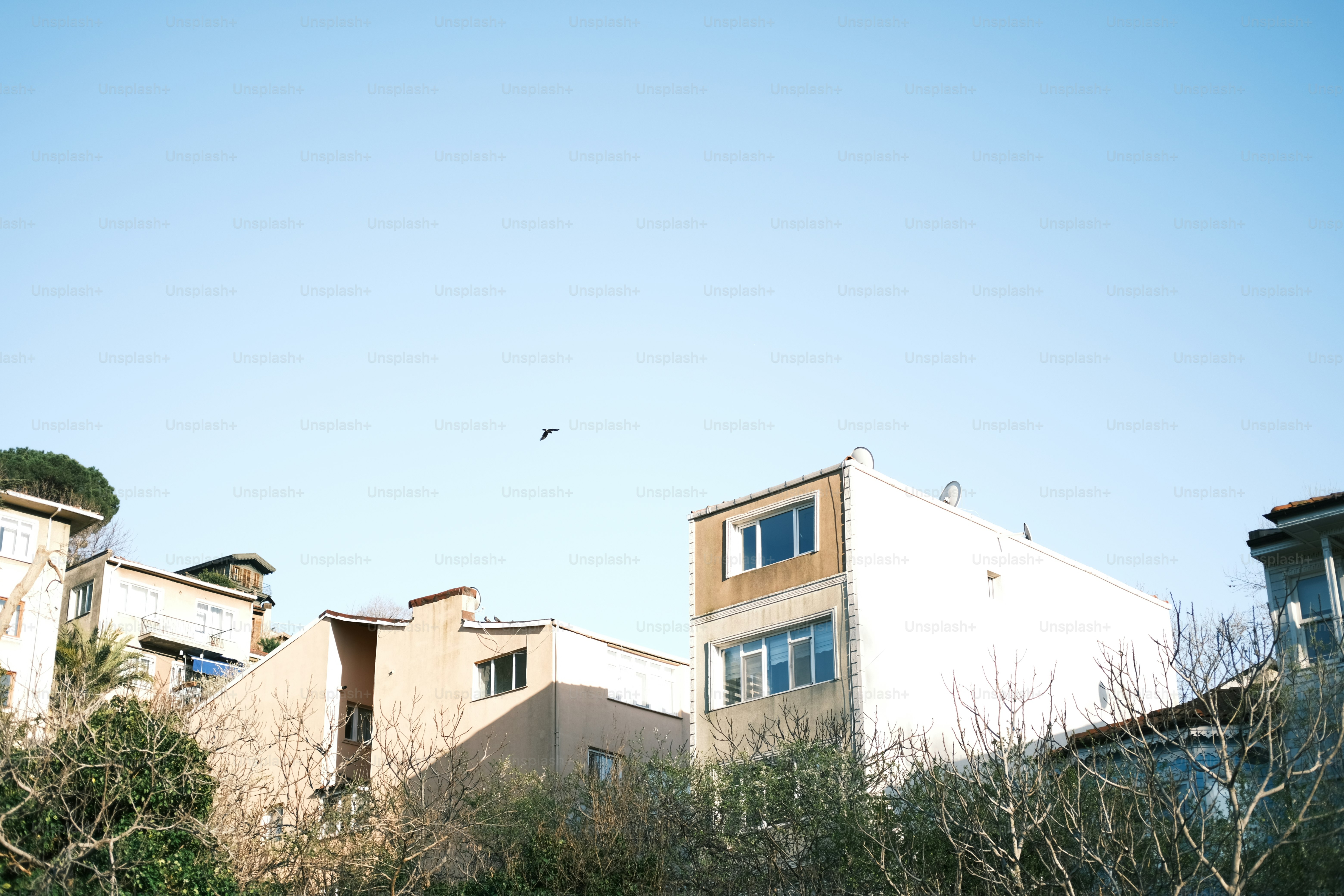 A bird is flying over a row of houses photo – Affordable housing Image ...