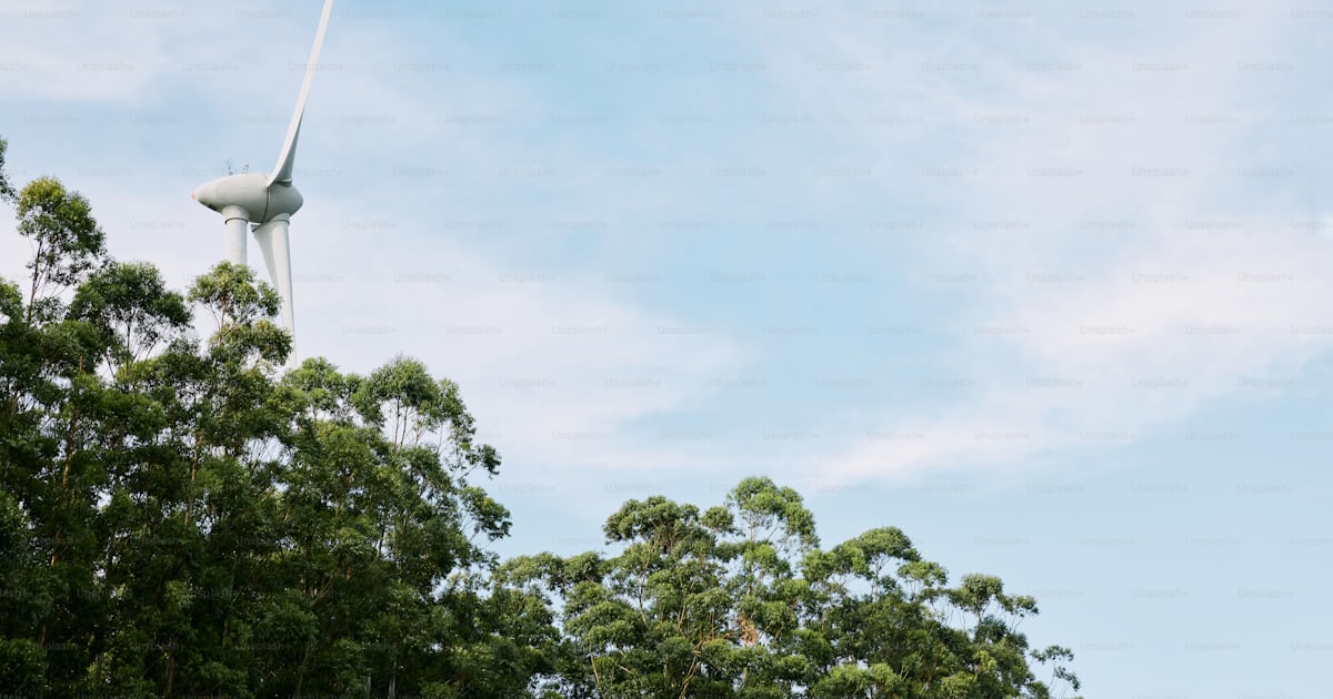 Foto Zum Thema Eine Windkraftanlage Auf Einem Baum Bild Zu