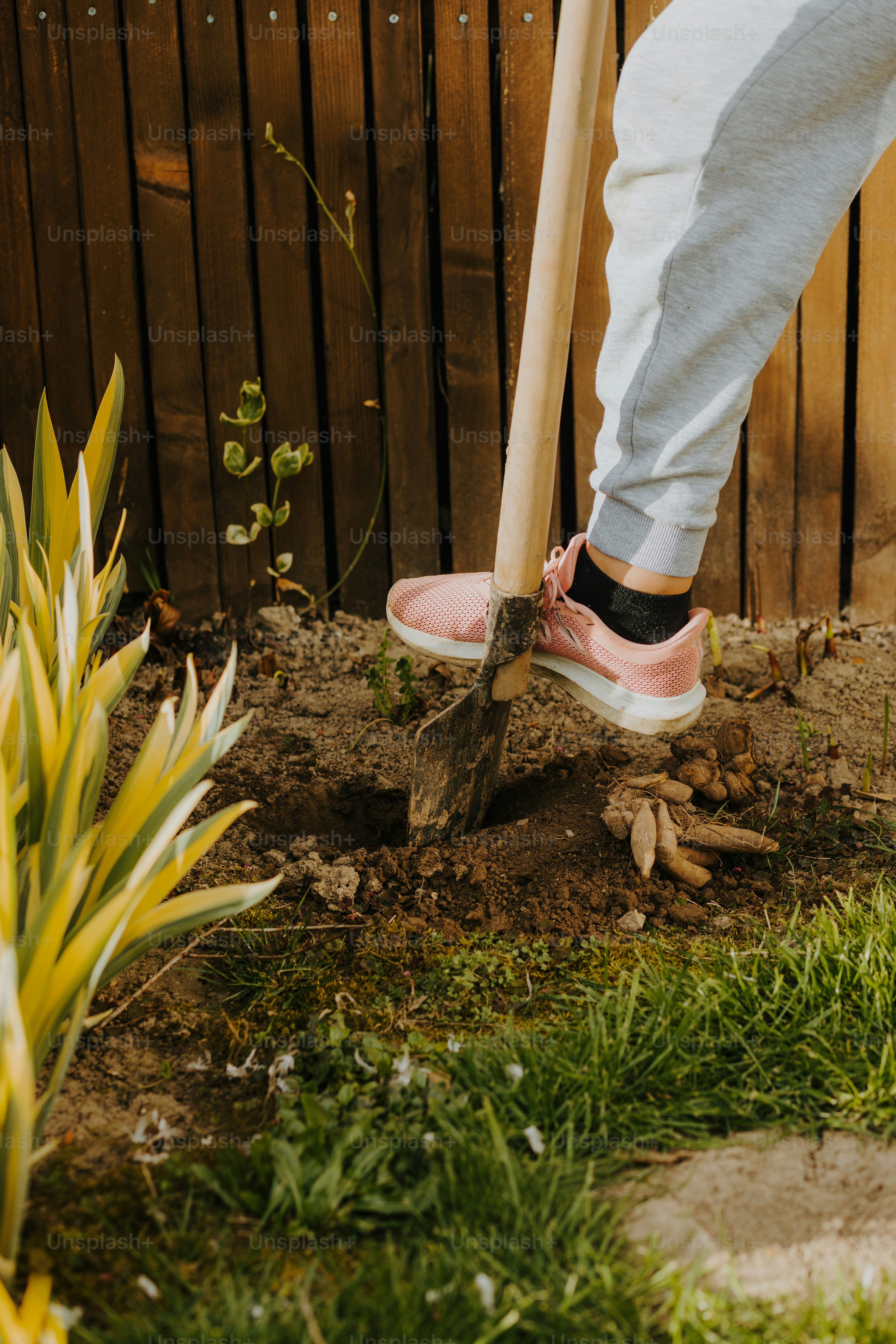 Dig Pictures | Download Free Images on Unsplash