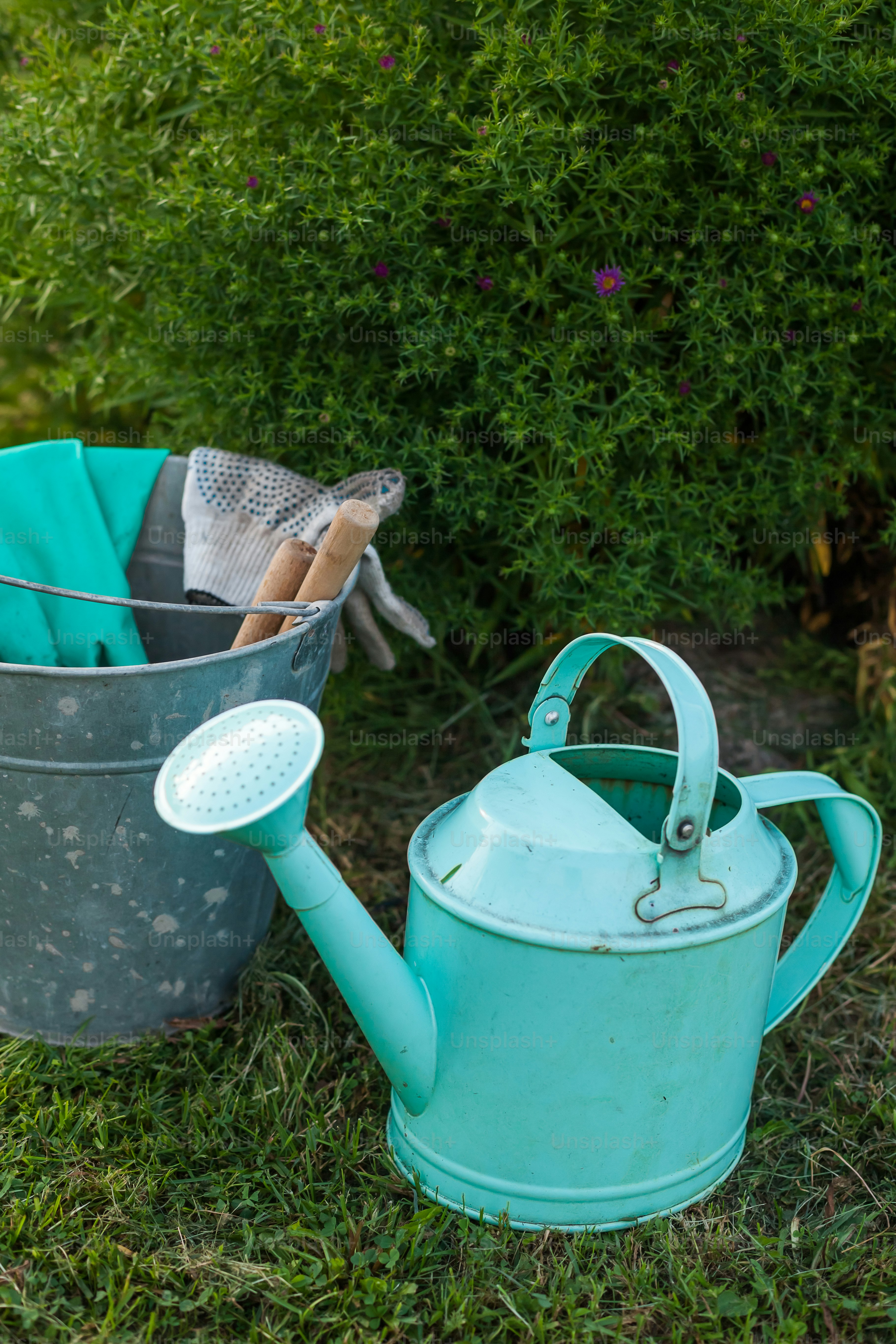 Best 500+ Bucket Pictures | Download Free Images on Unsplash